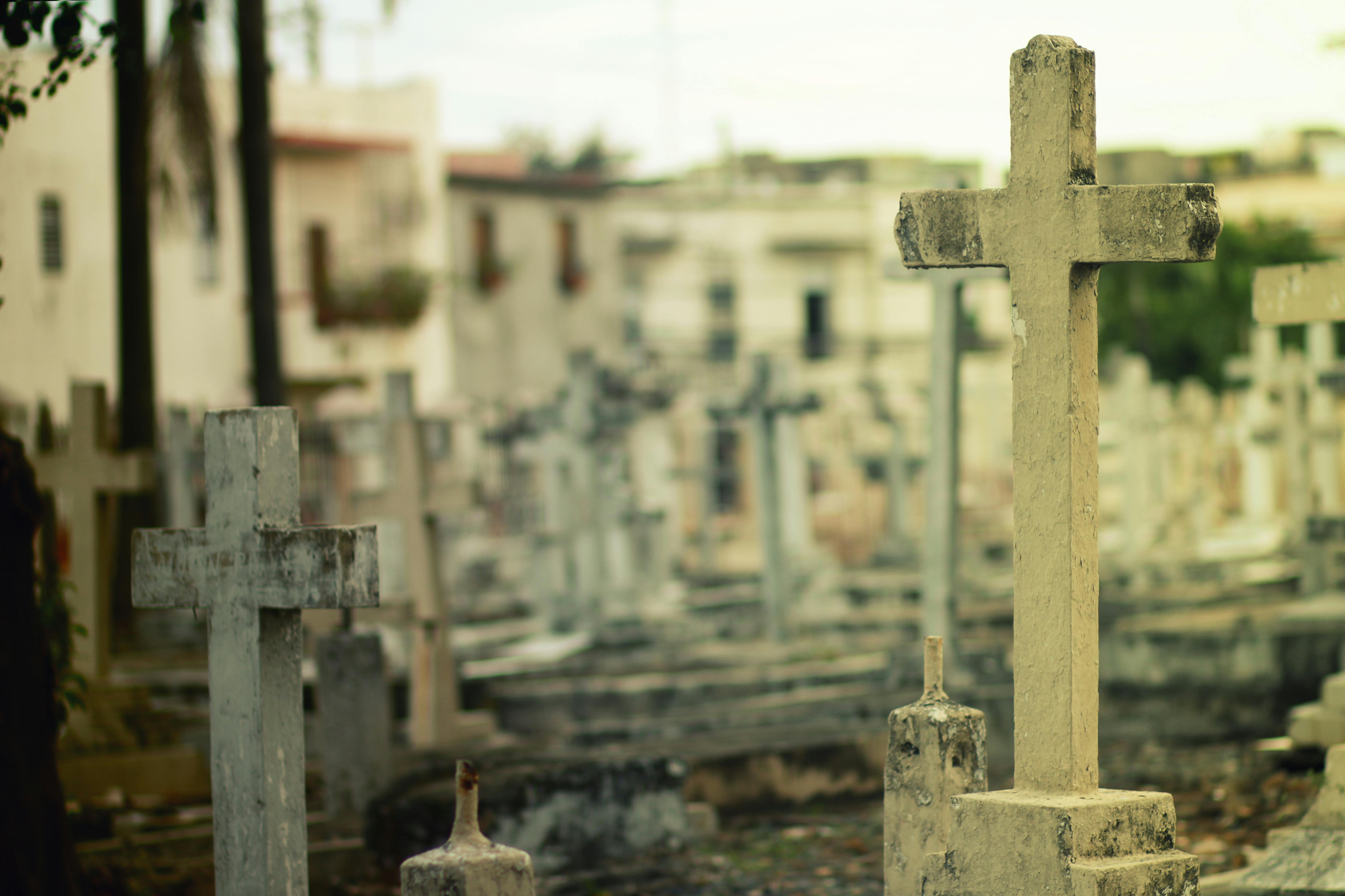 Free stock photos of graveyard · Pexels