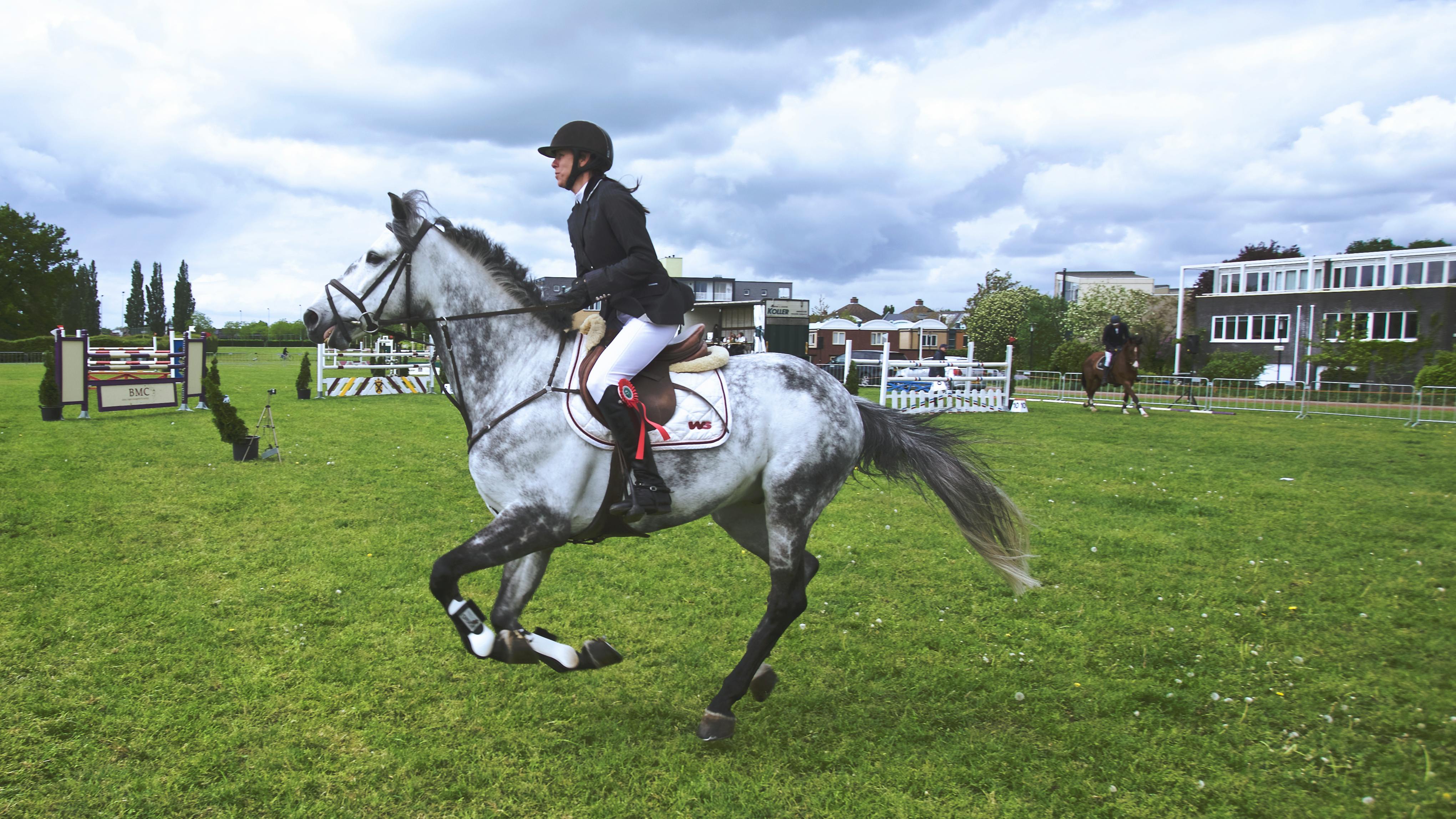 Free stock photos of show jumping · Pexels