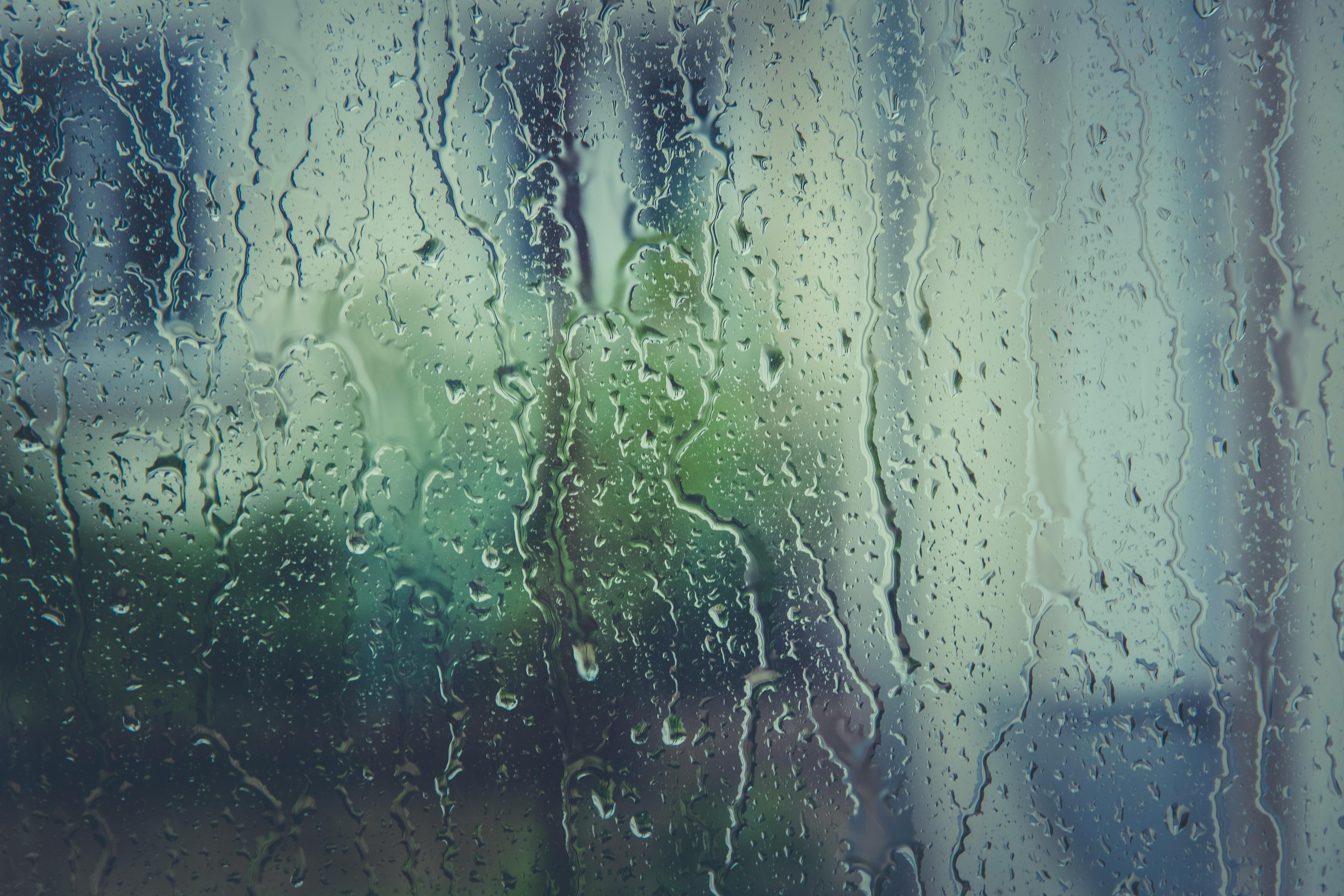 Free stock photos of raindrops · Pexels