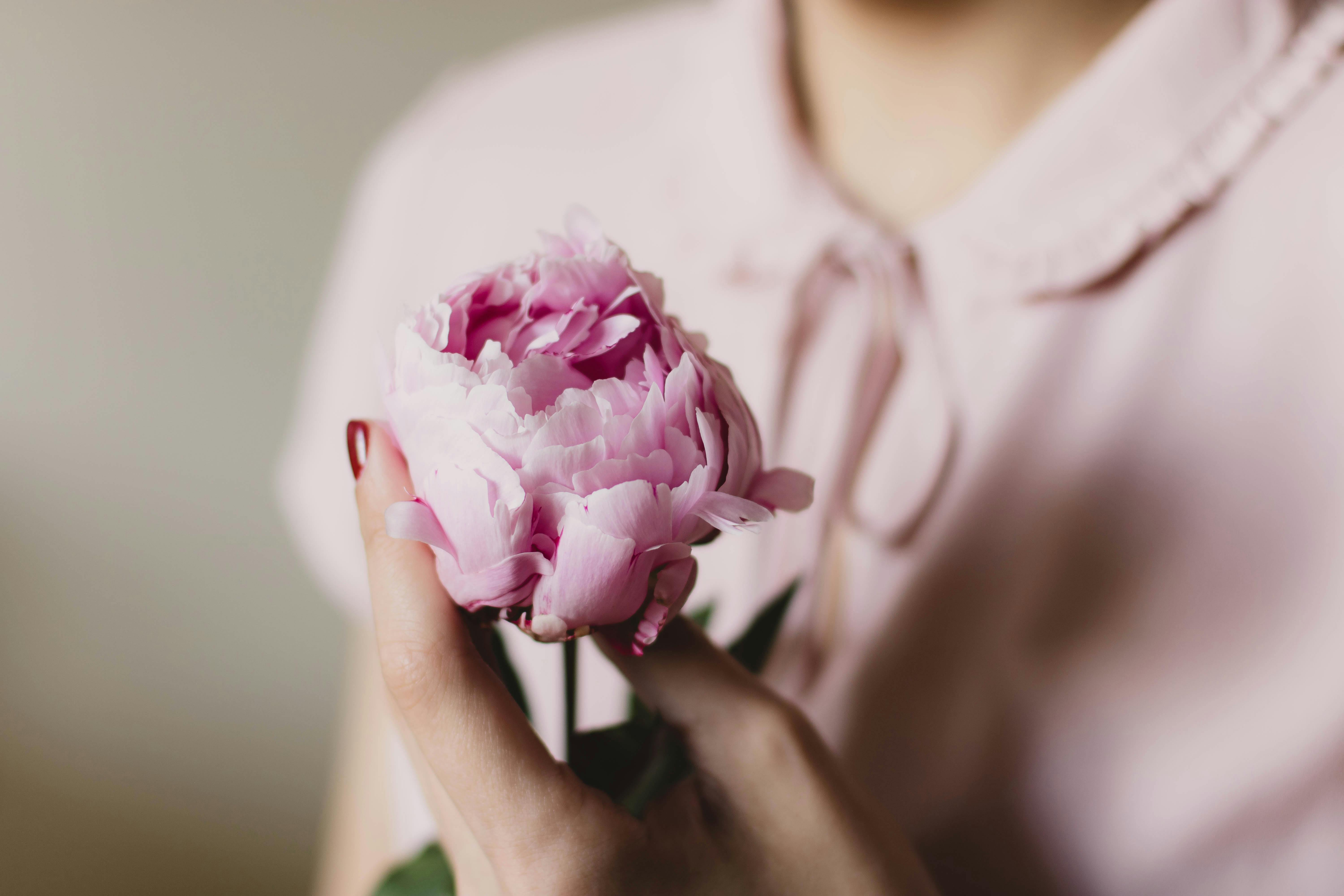 Free stock photos of flower in hand · Pexels