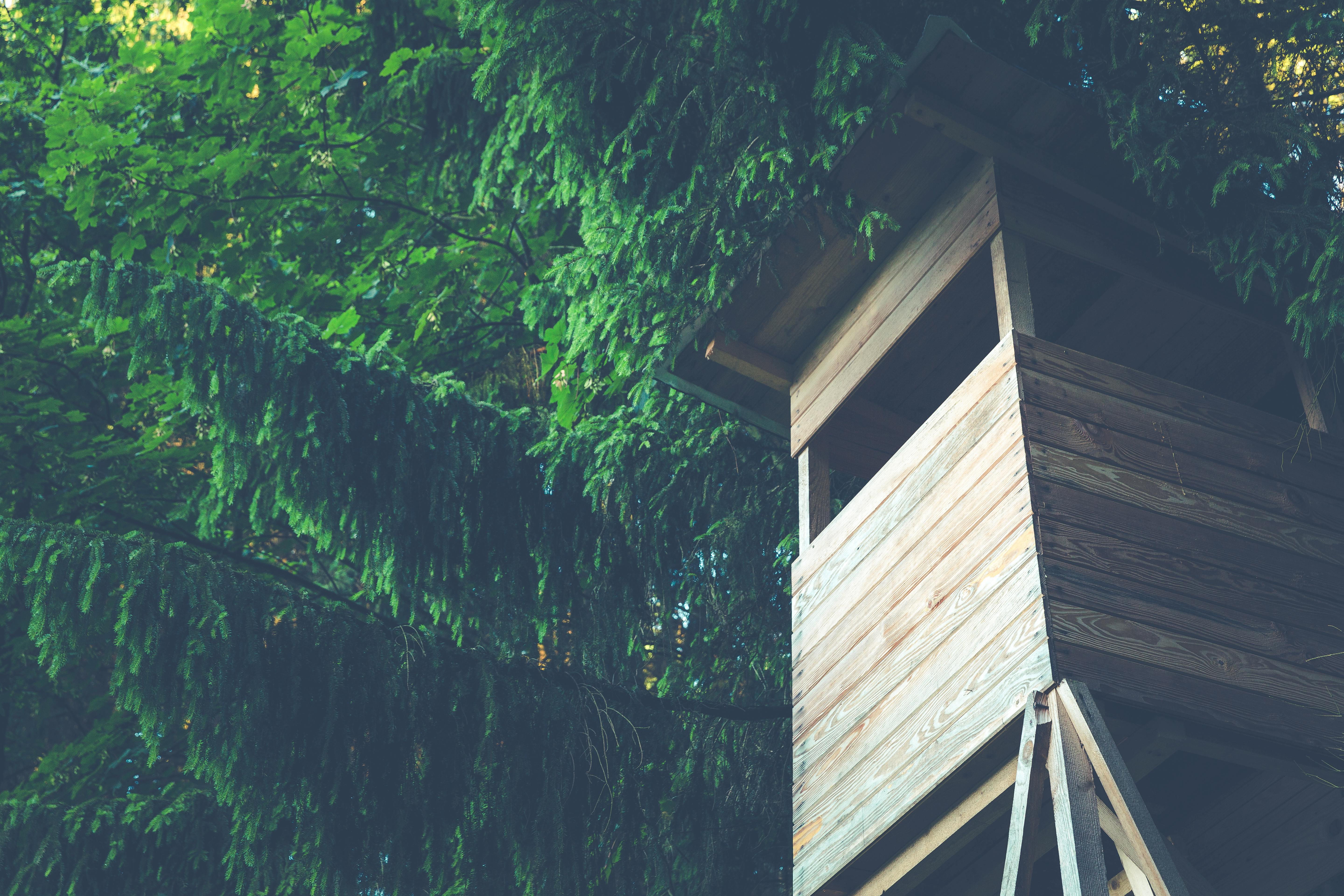 Free stock photos of tree house · Pexels