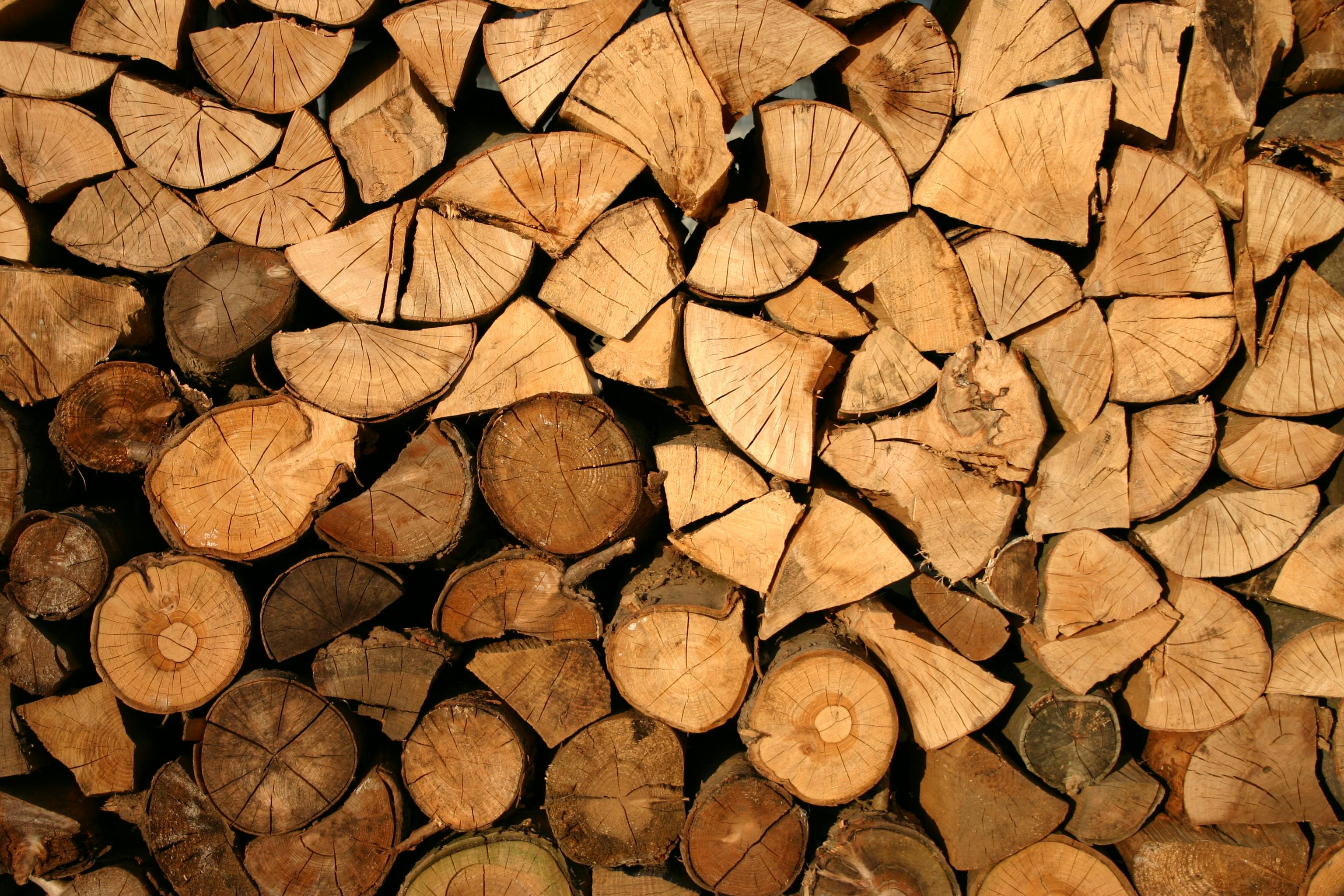 Free stock photos of logs · Pexels