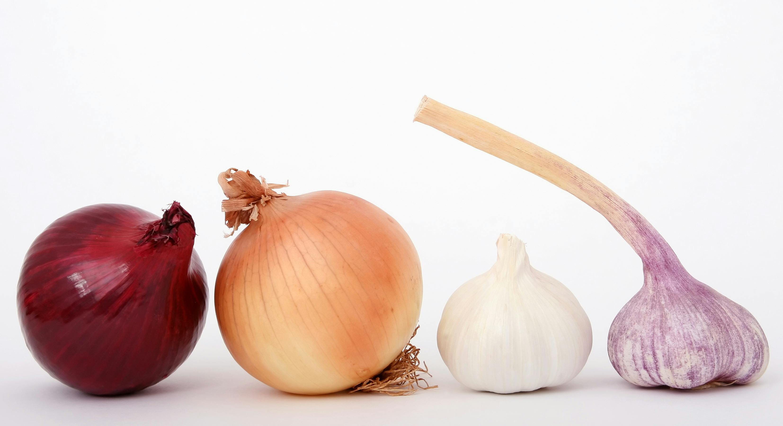 Free stock photos of onion · Pexels