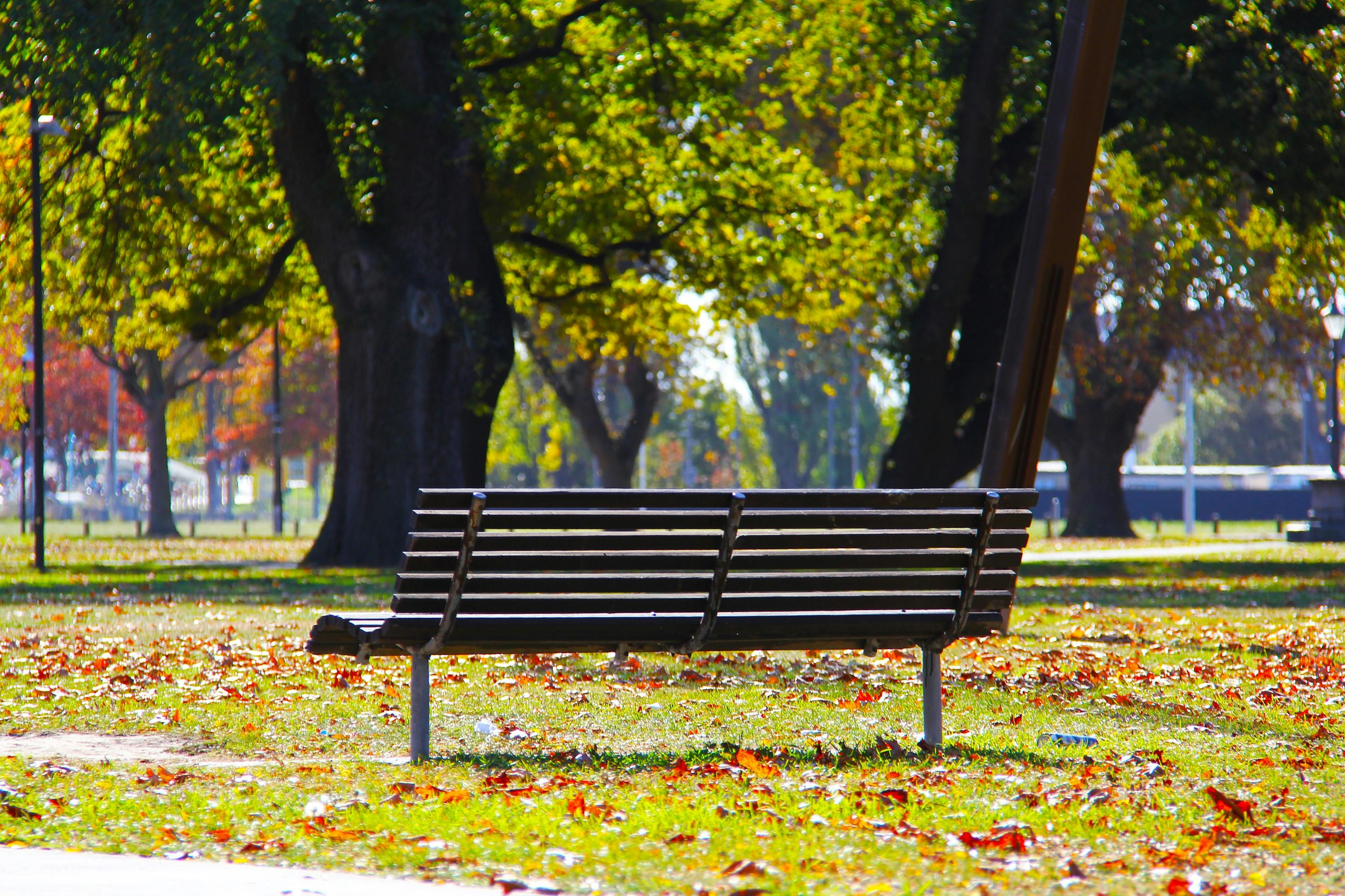 Free stock photos of park bench · Pexels