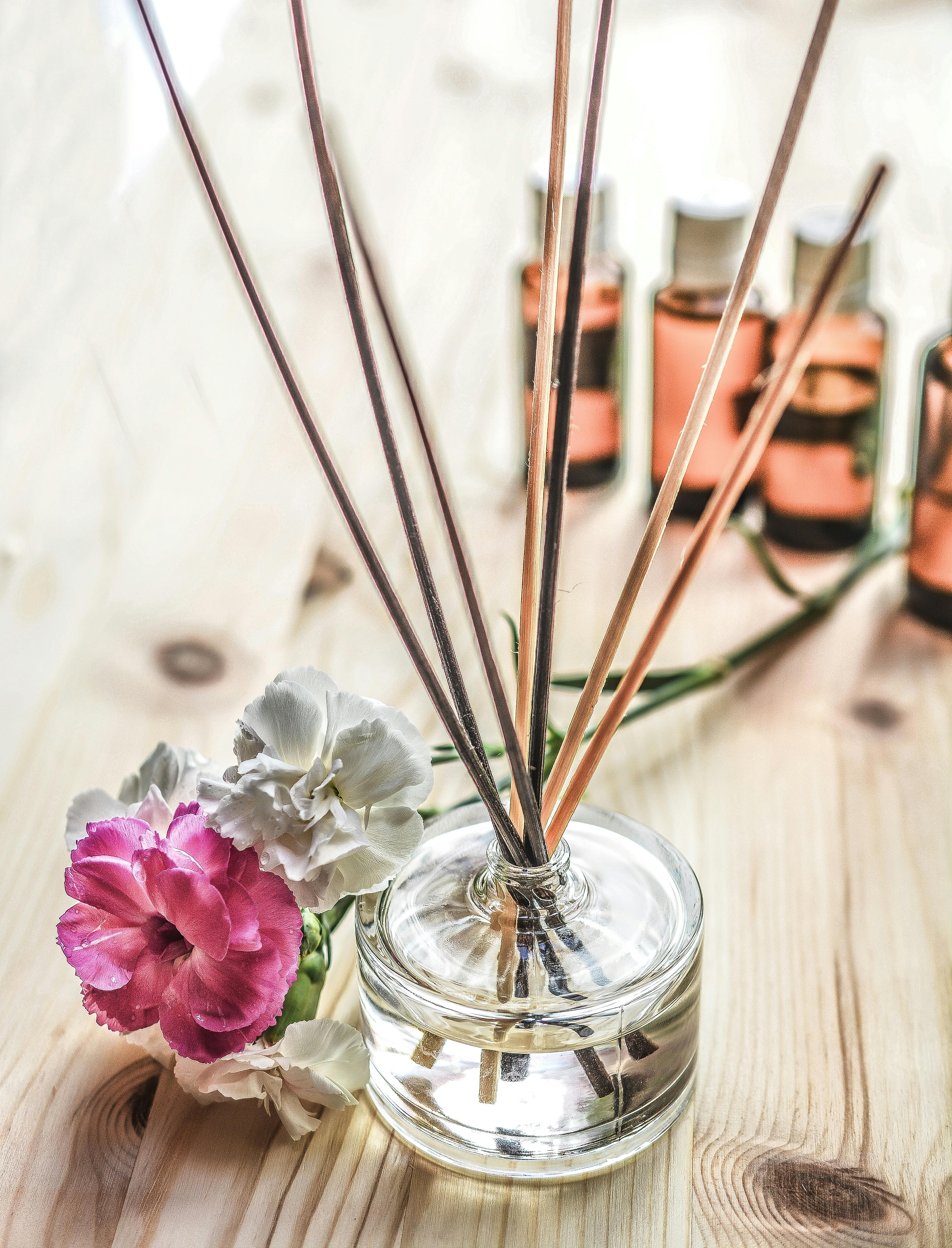 Free stock photos of fragrance · Pexels