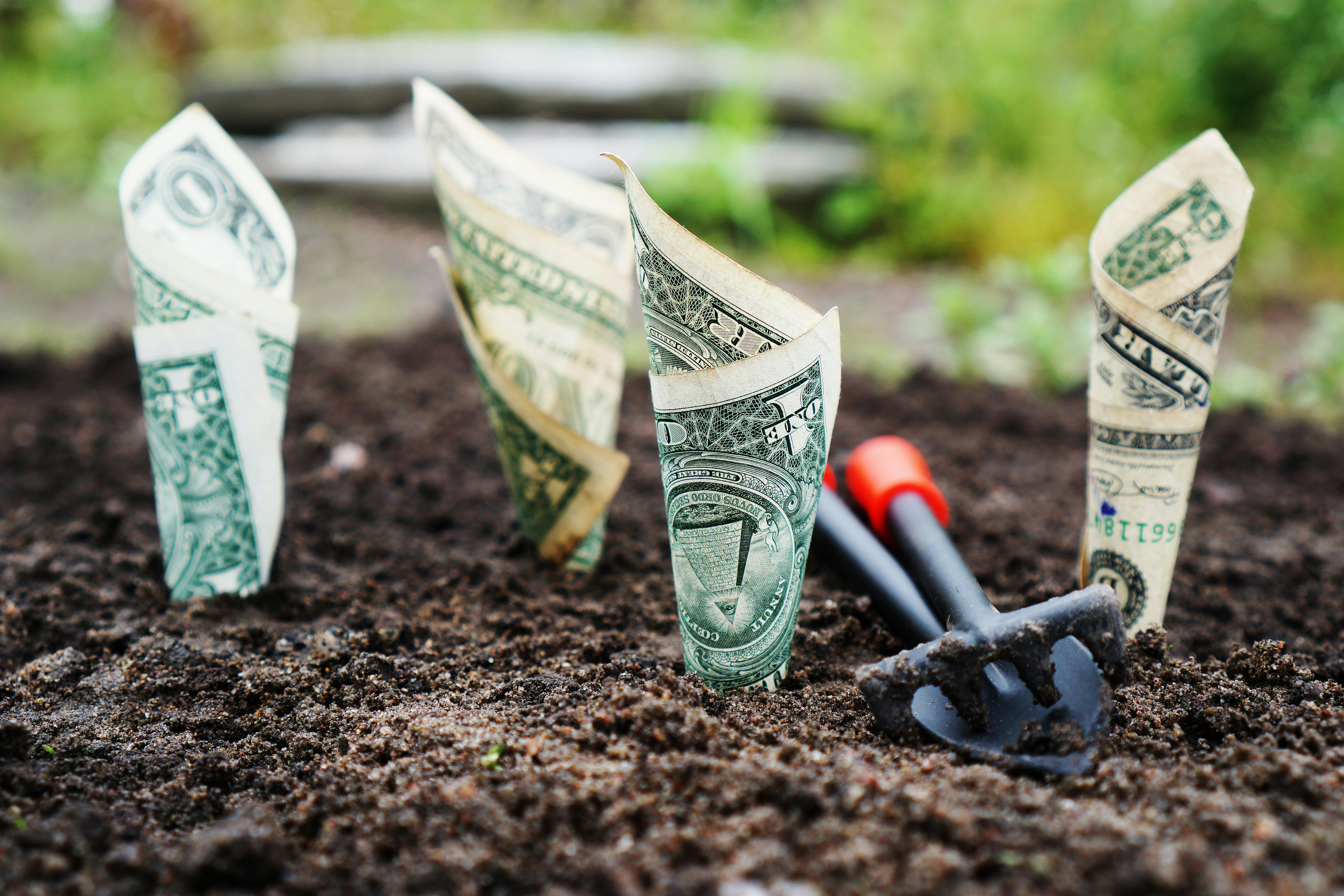 Free stock photos of money making · Pexels