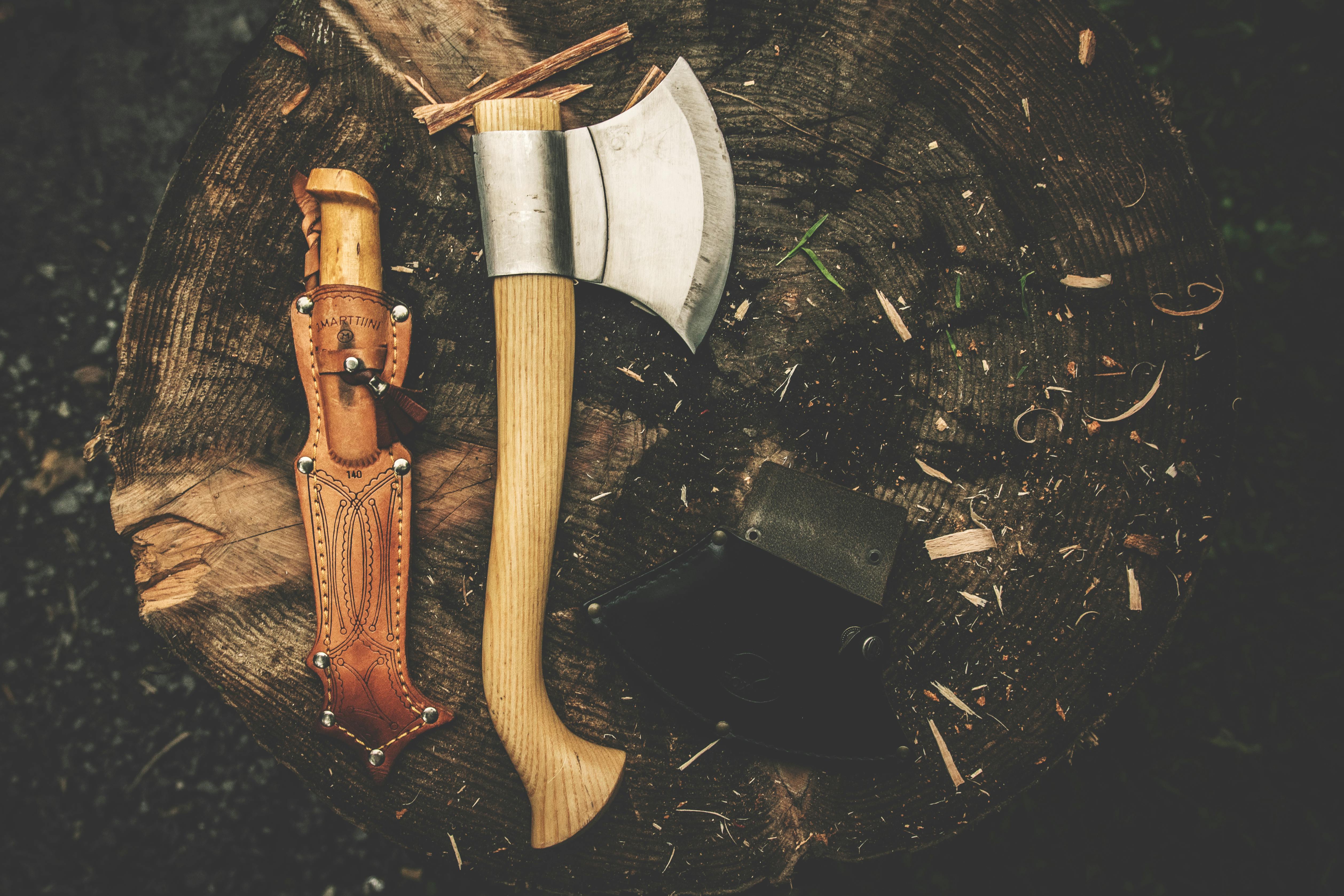 Free stock photos of bushcraft · Pexels