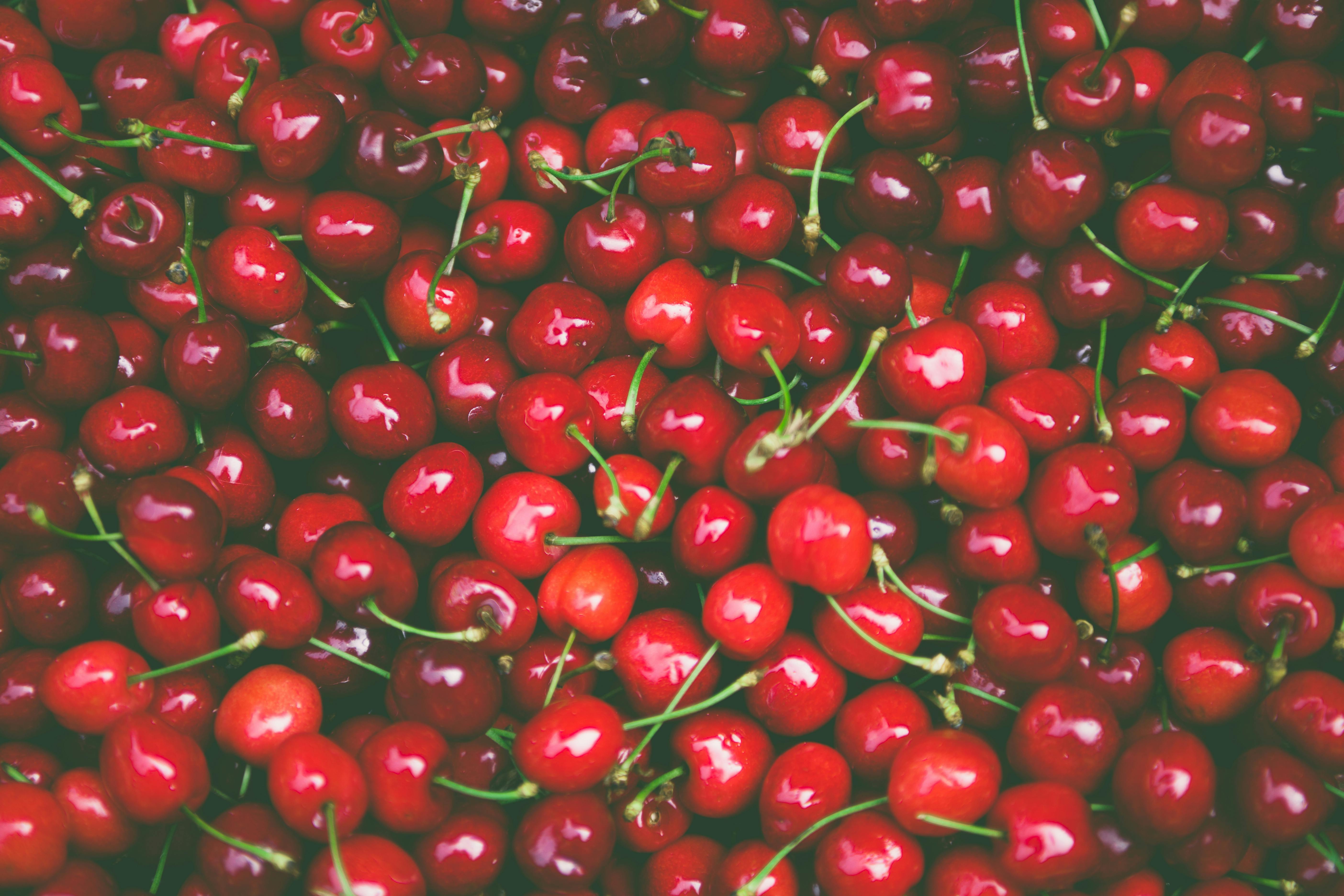 Free stock photos of cherry · Pexels