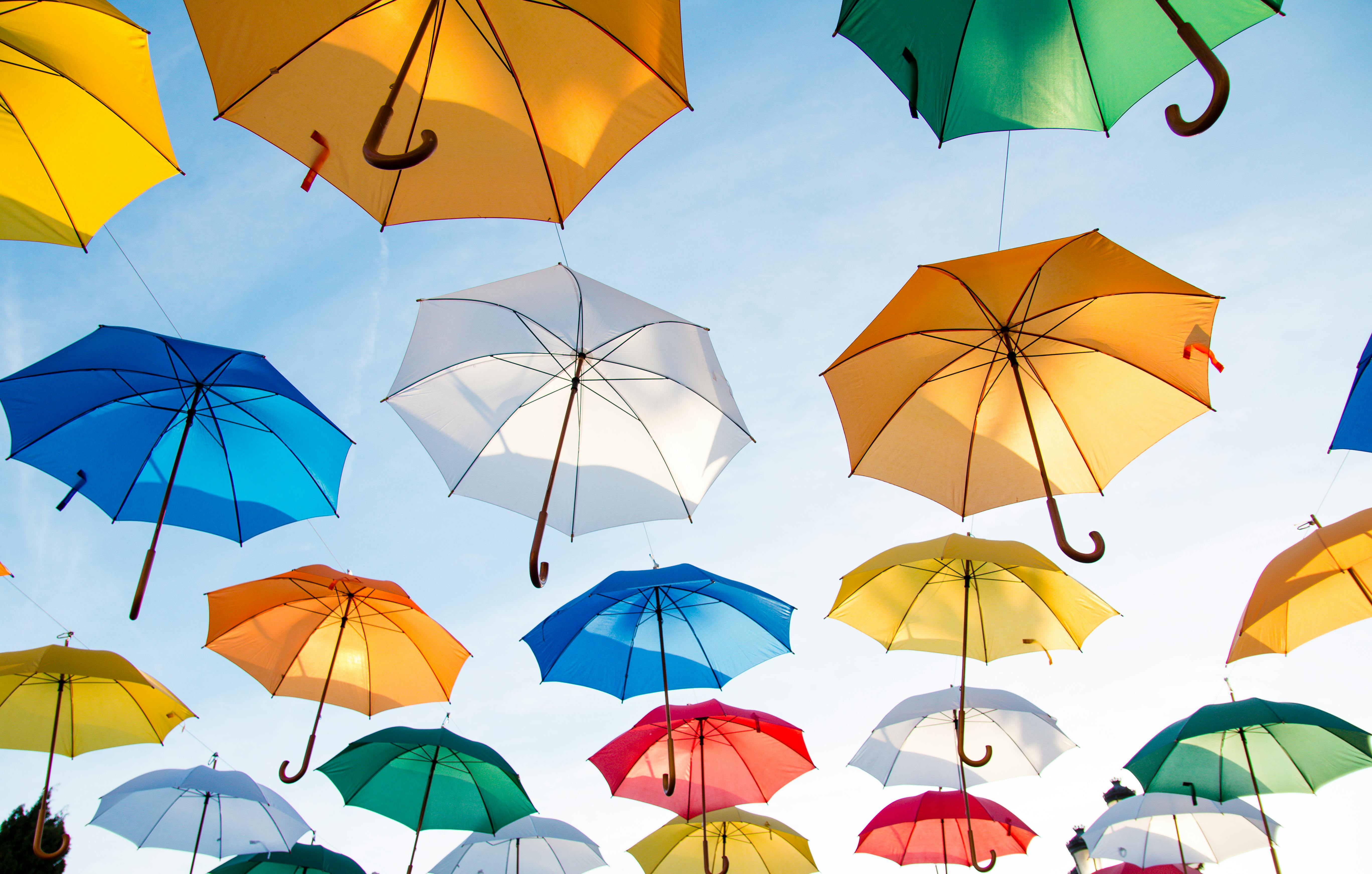 Free stock photos of umbrellas · Pexels