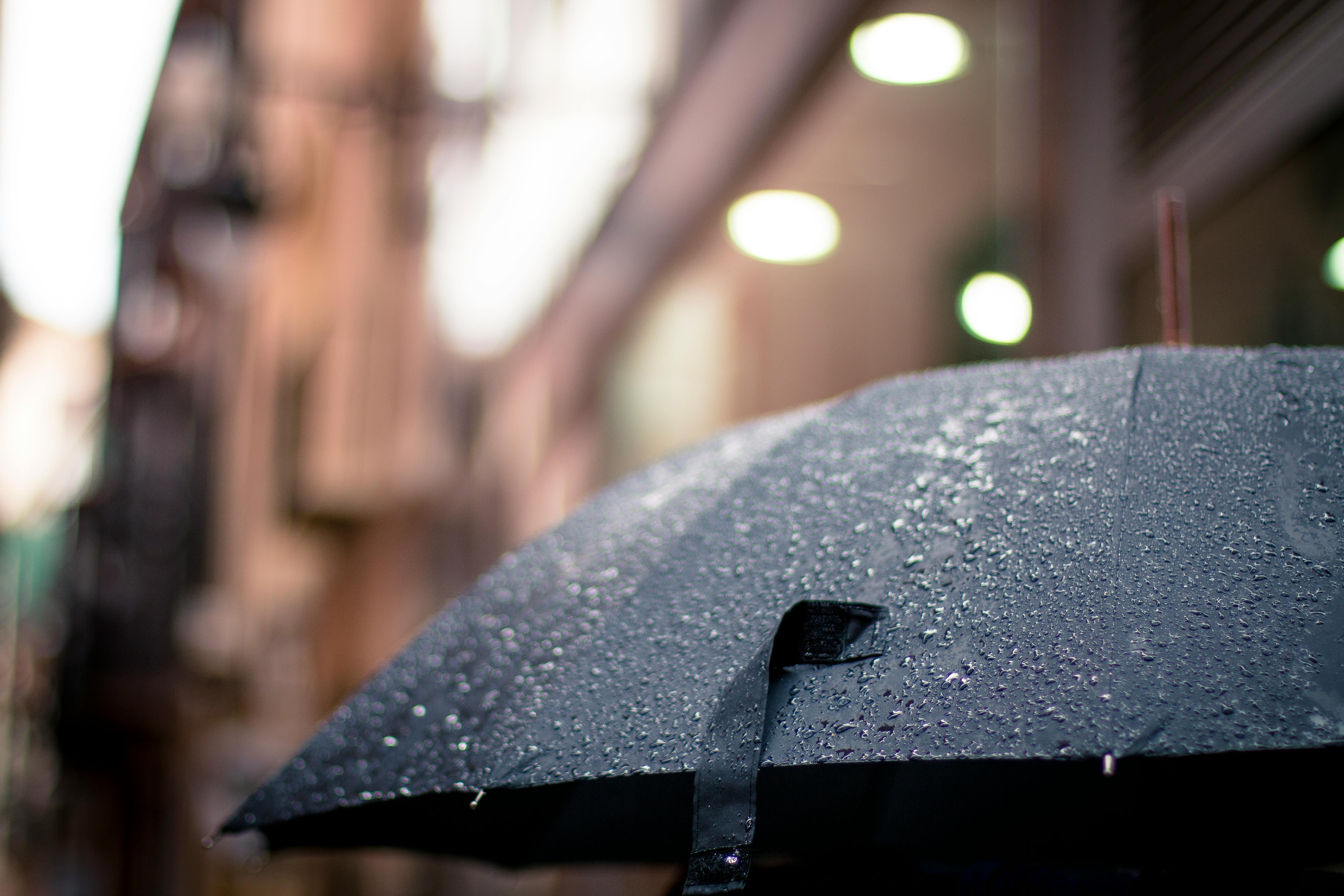Free stock photos of umbrella · Pexels