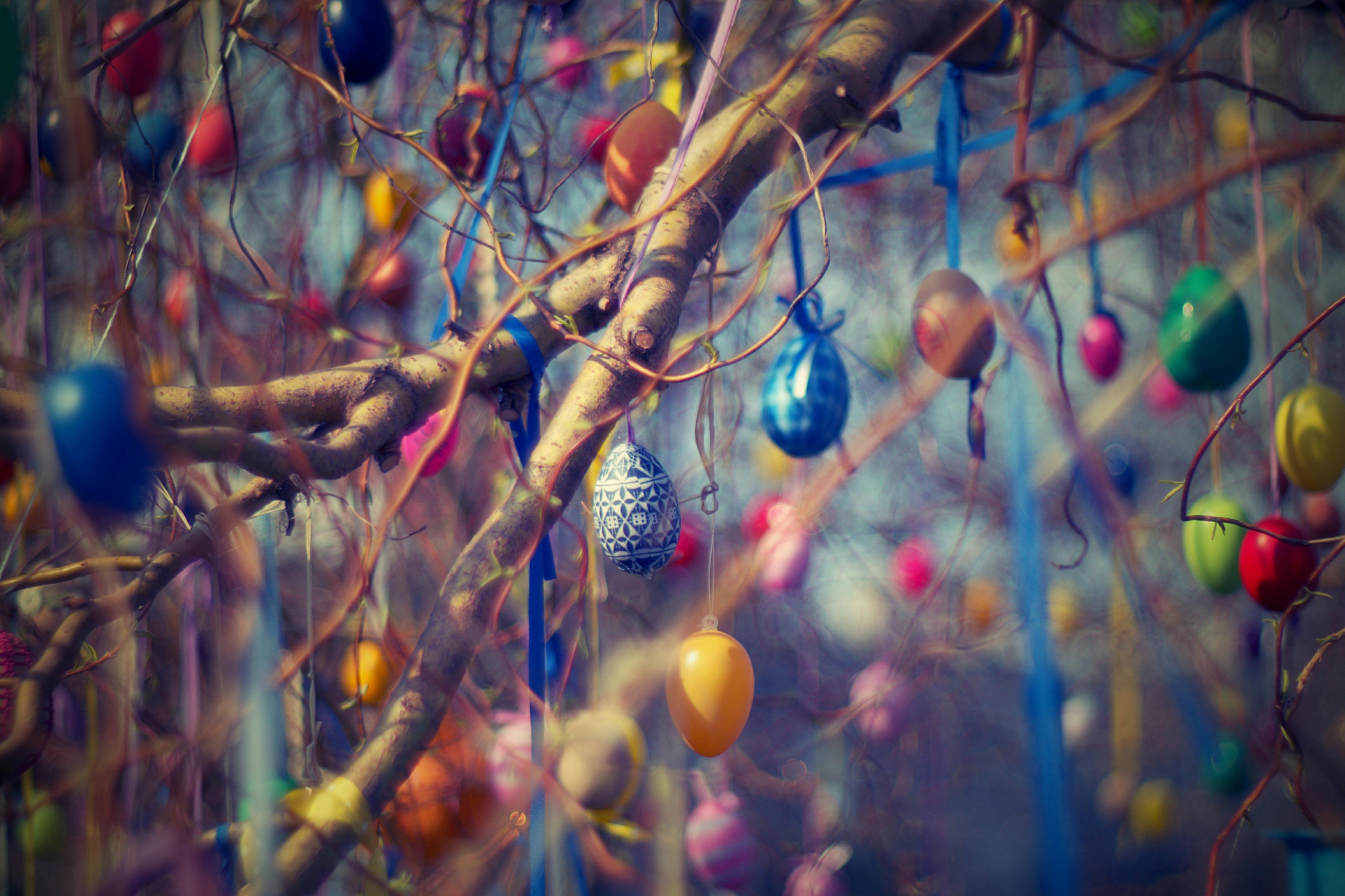 Free stock photos of easter · Pexels