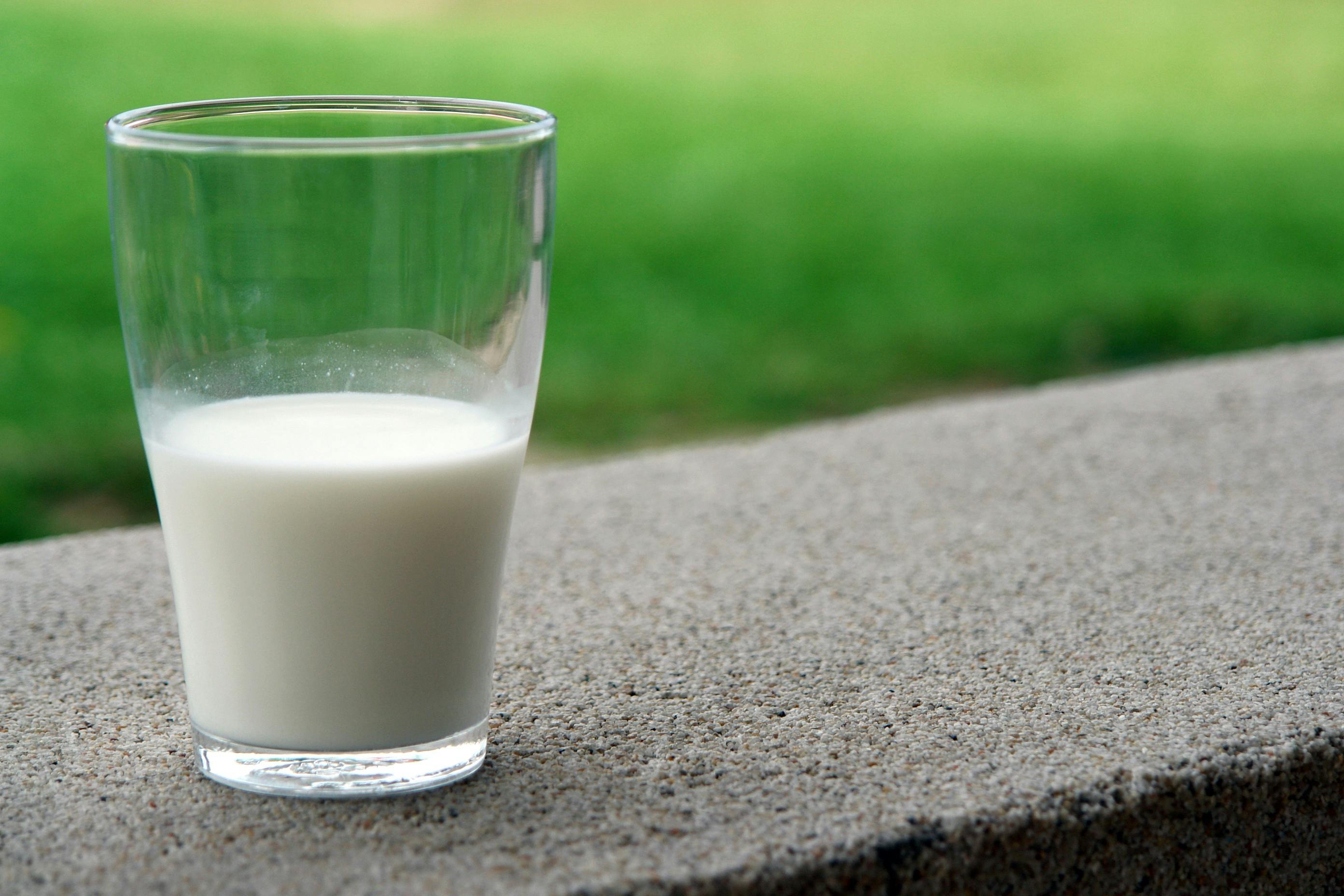 Free stock photos of calcium · Pexels
