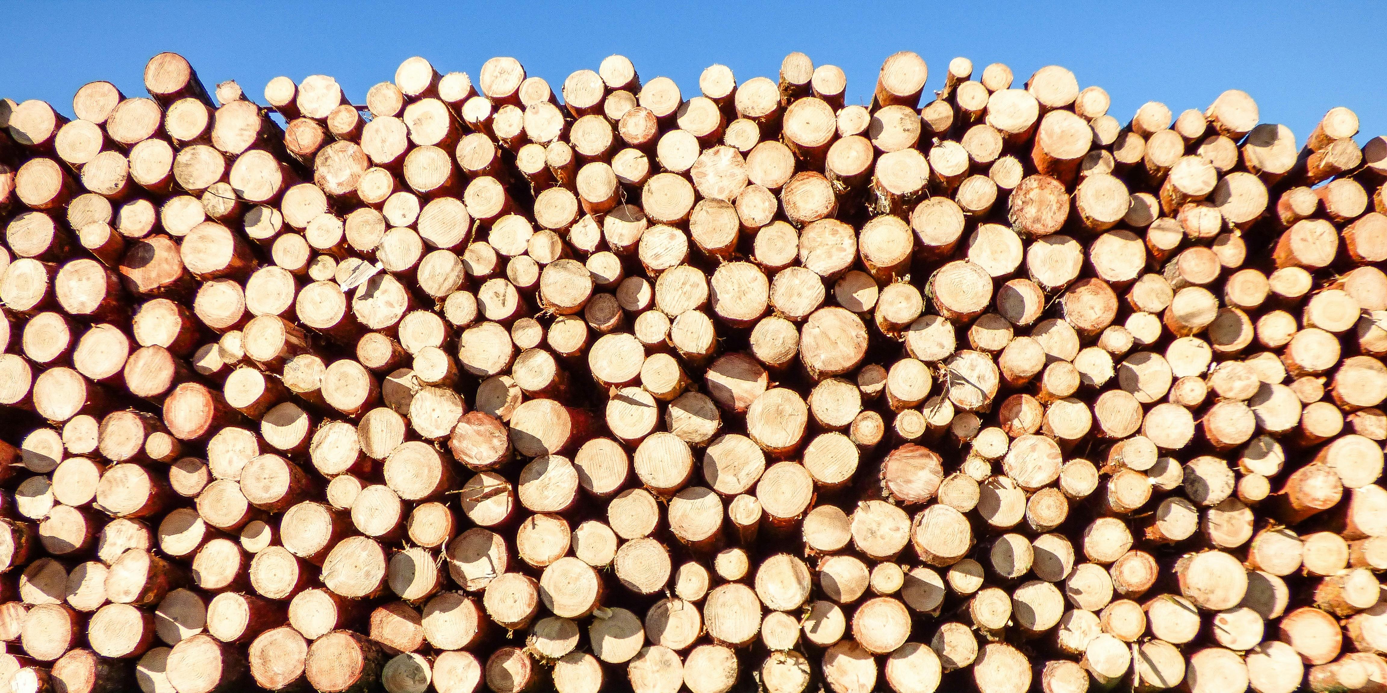 Free stock photos of timber · Pexels