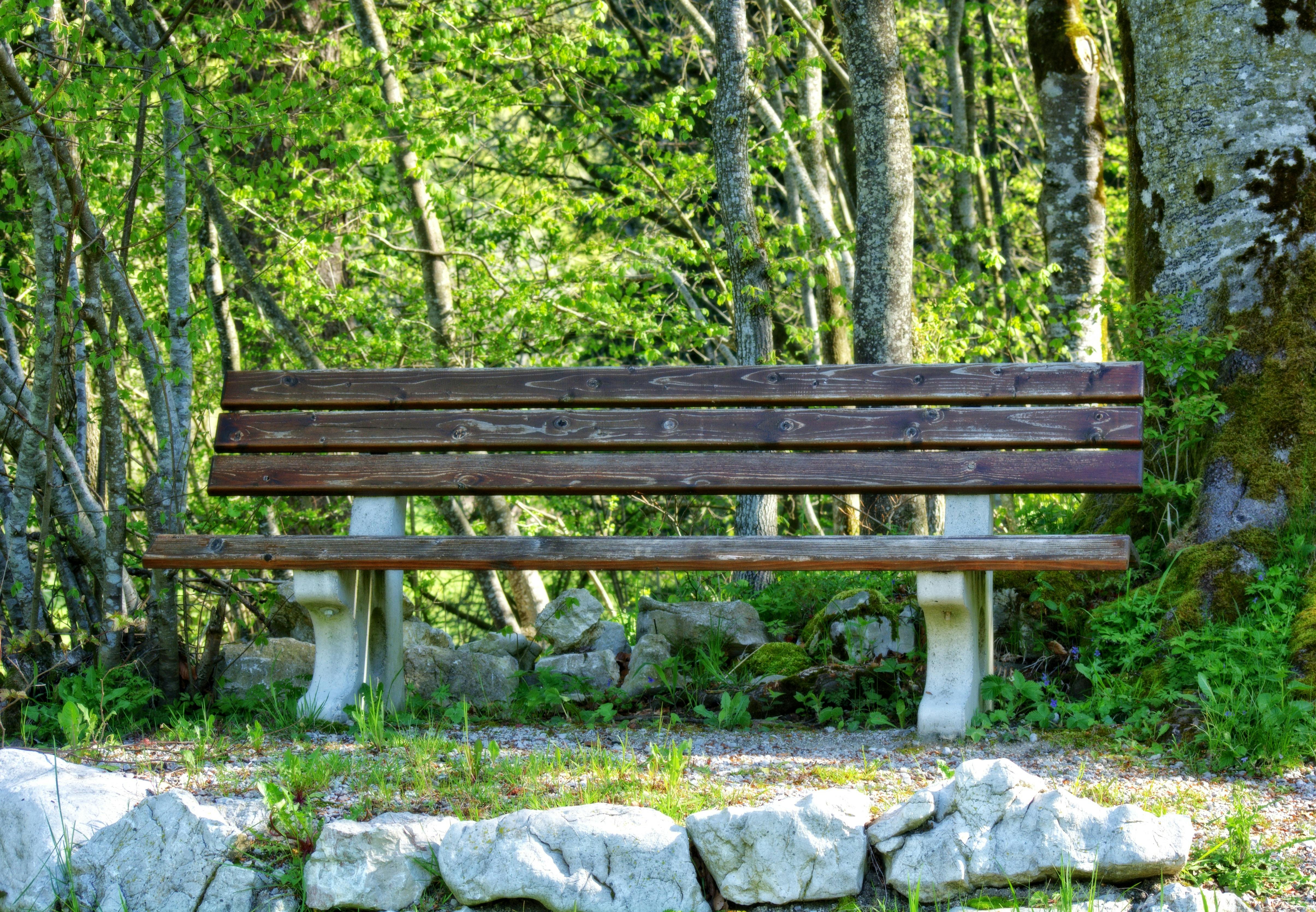 Free stock photos of bench · Pexels
