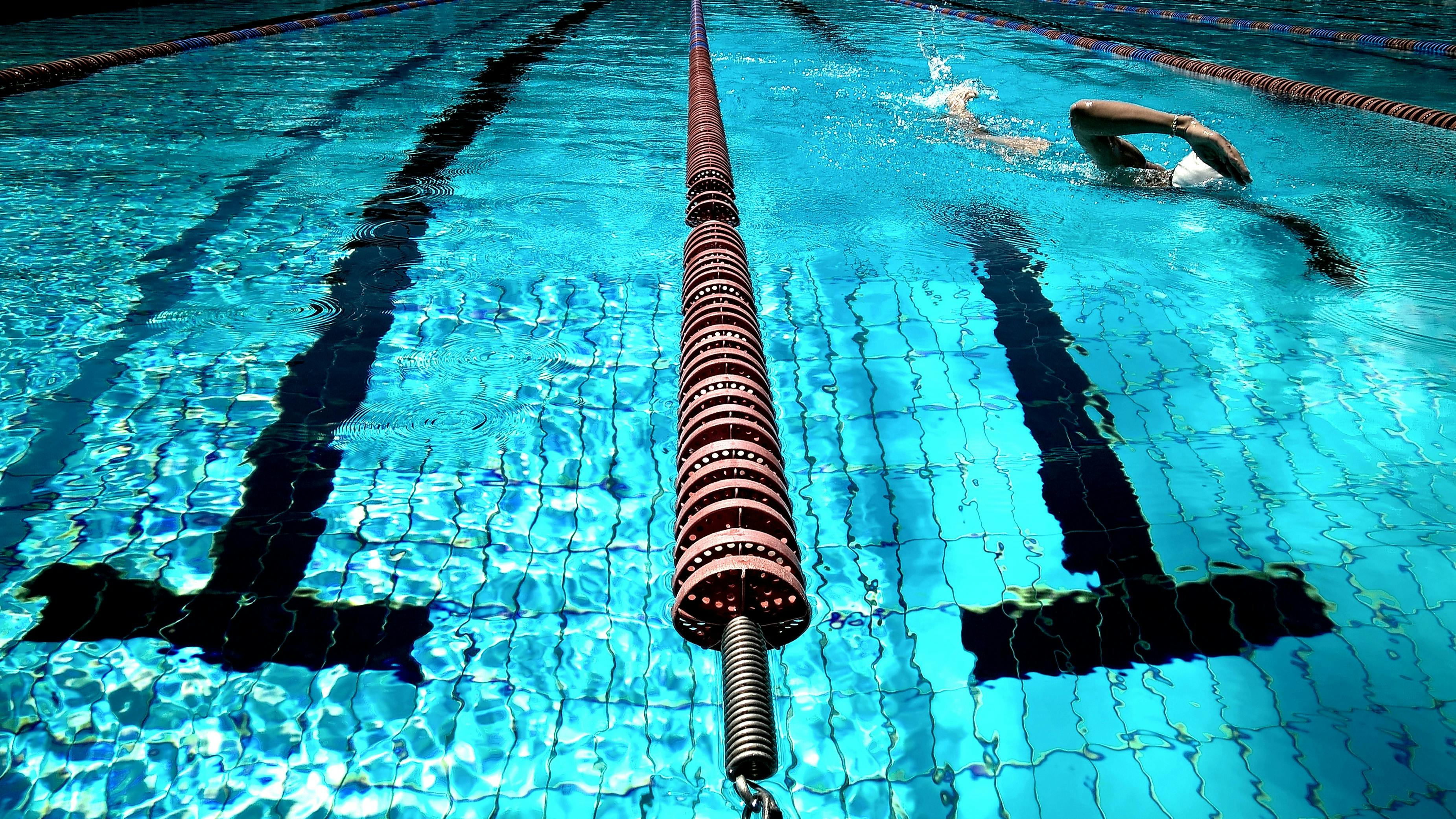 Free stock photos of swim · Pexels