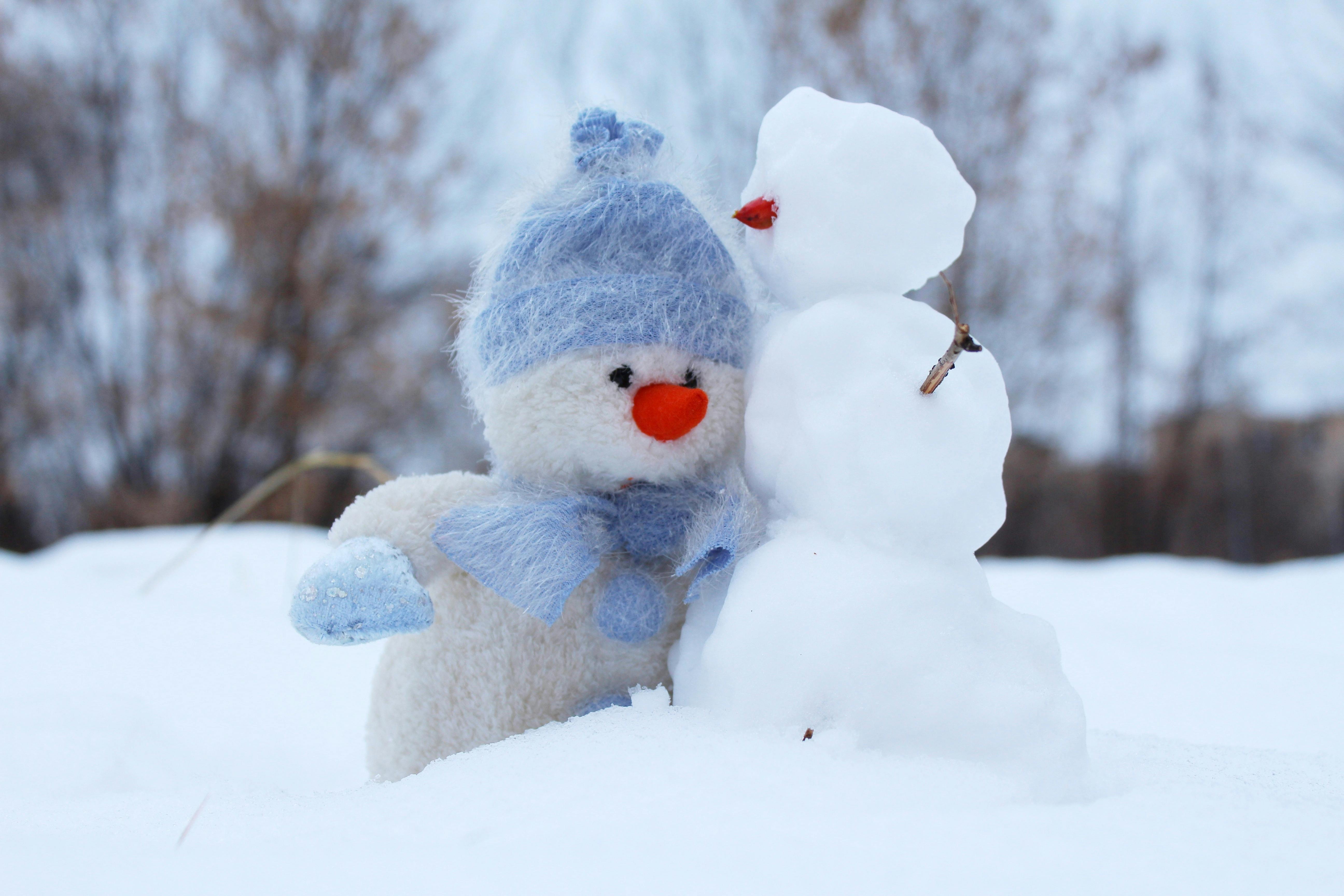 Free stock photos of winter scenes · Pexels