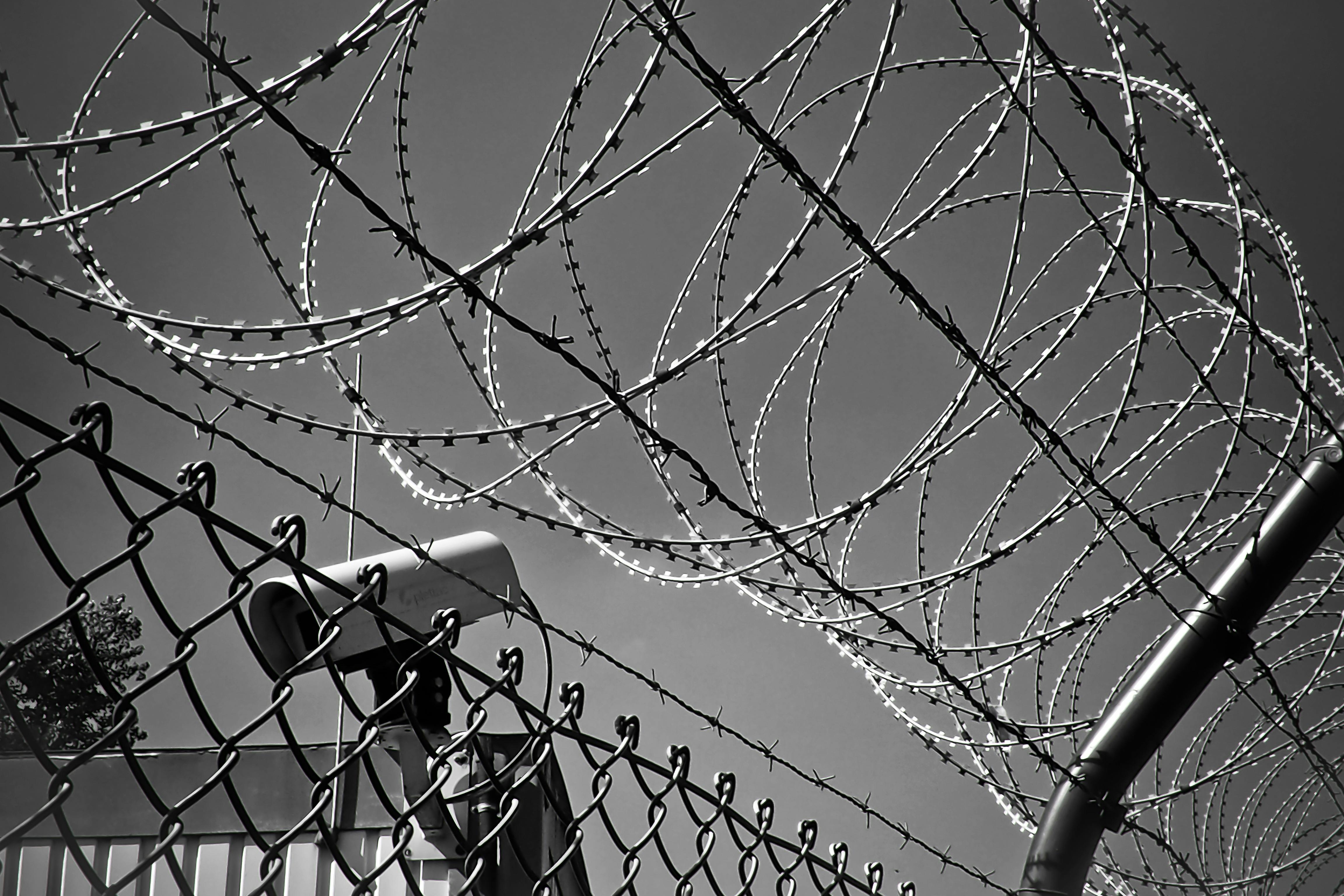 Free stock photos of barbed wire · Pexels