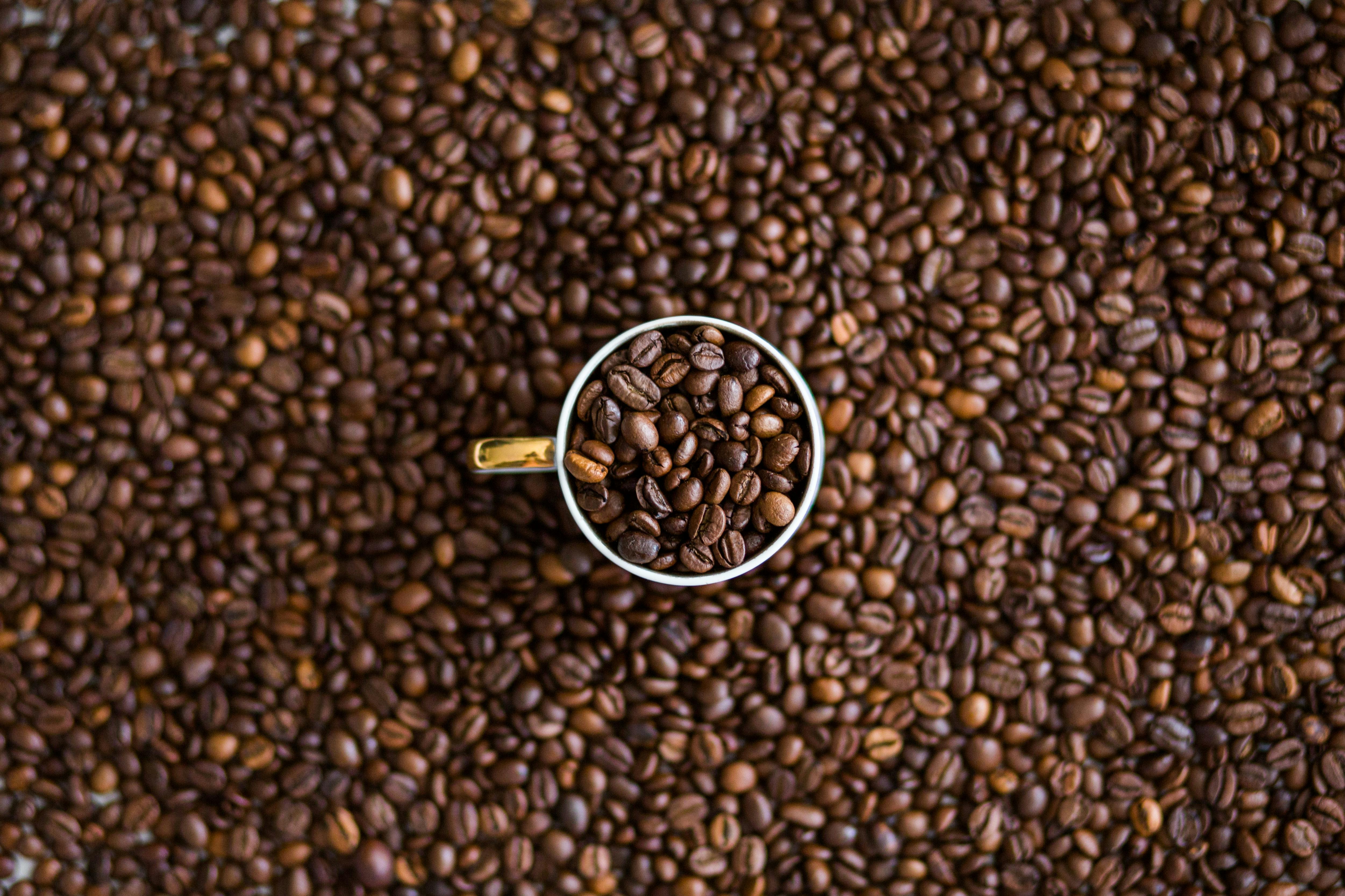 Free stock photos of caffeine · Pexels