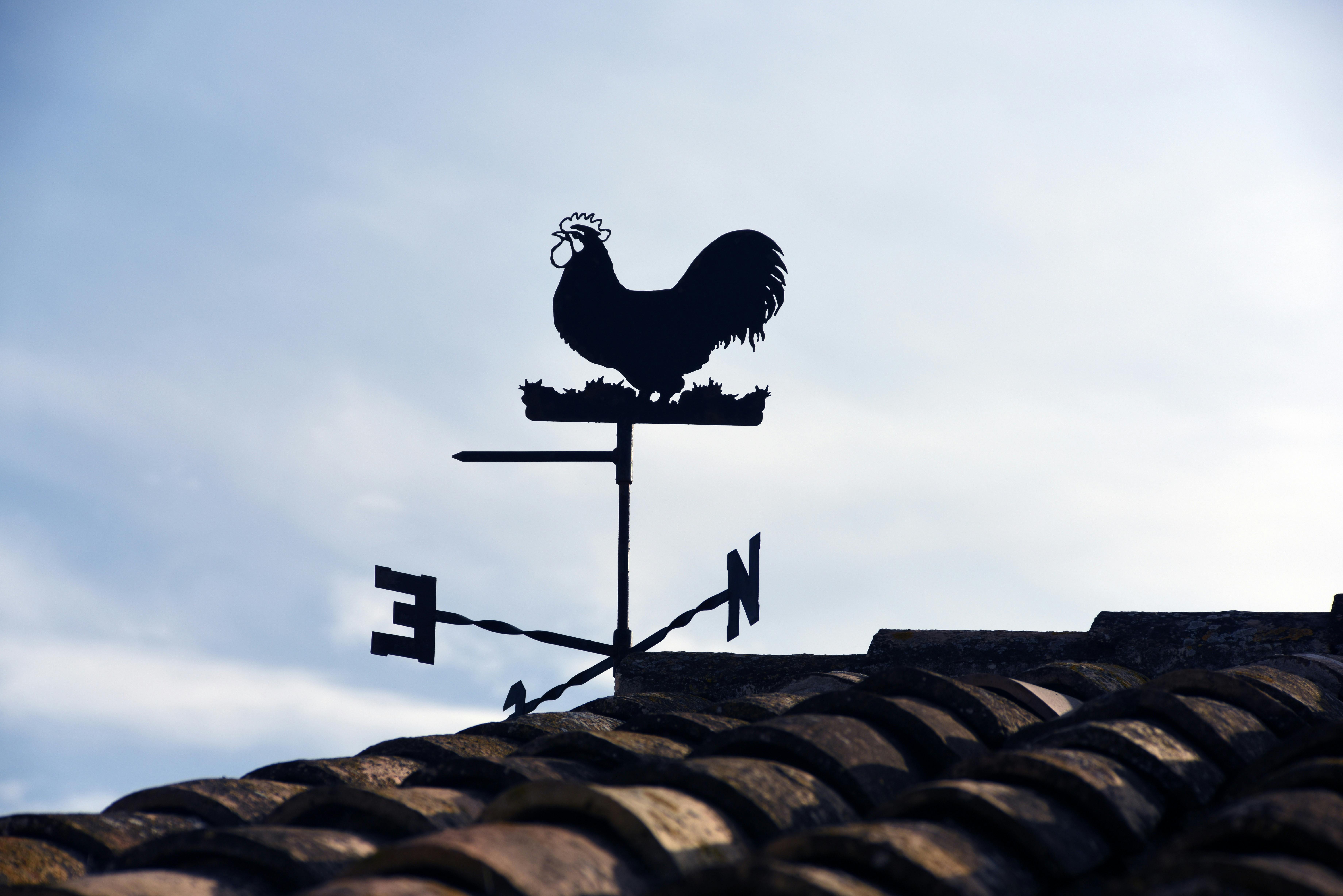 Free stock photos of wind vane · Pexels