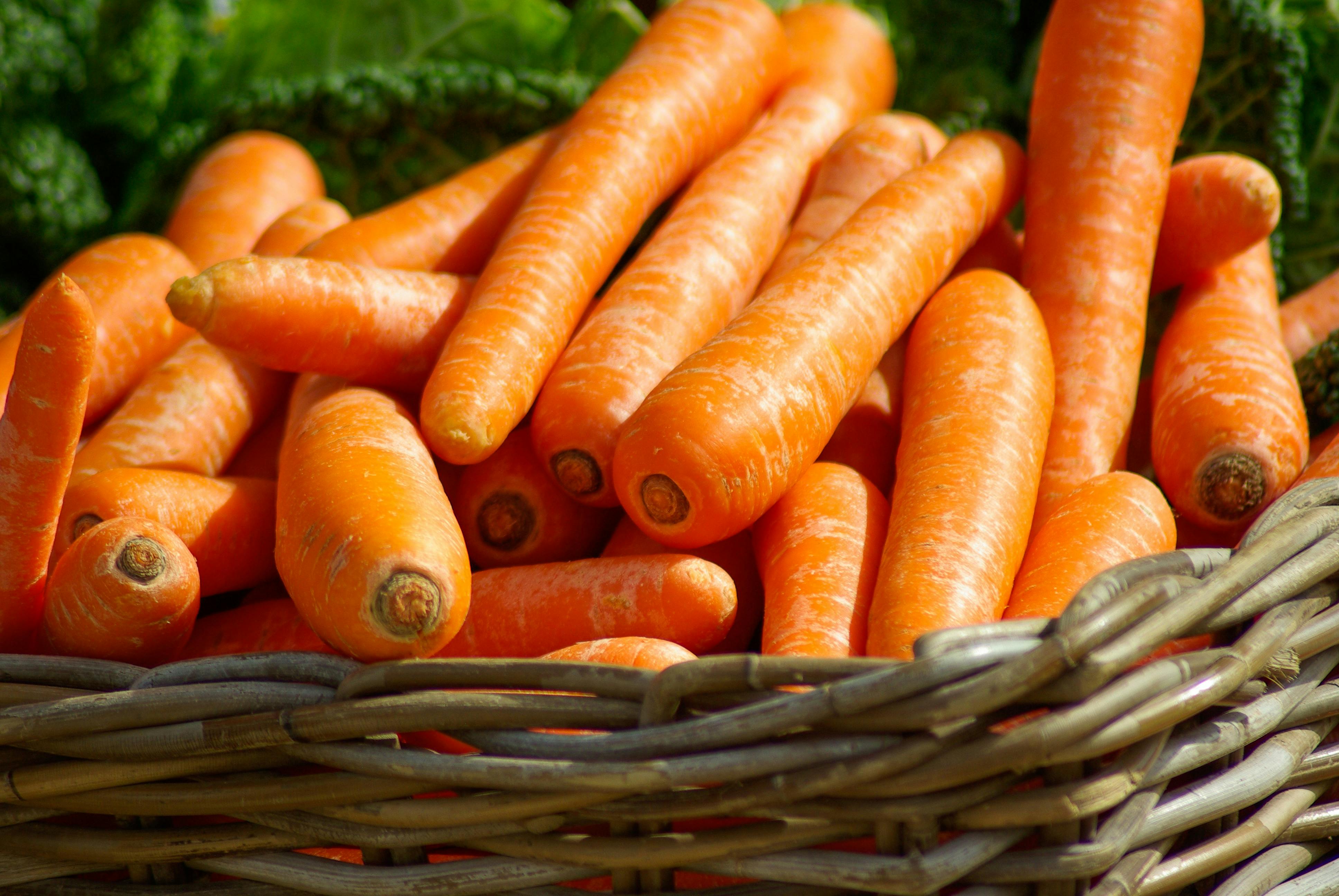 Free stock photos of carrot · Pexels