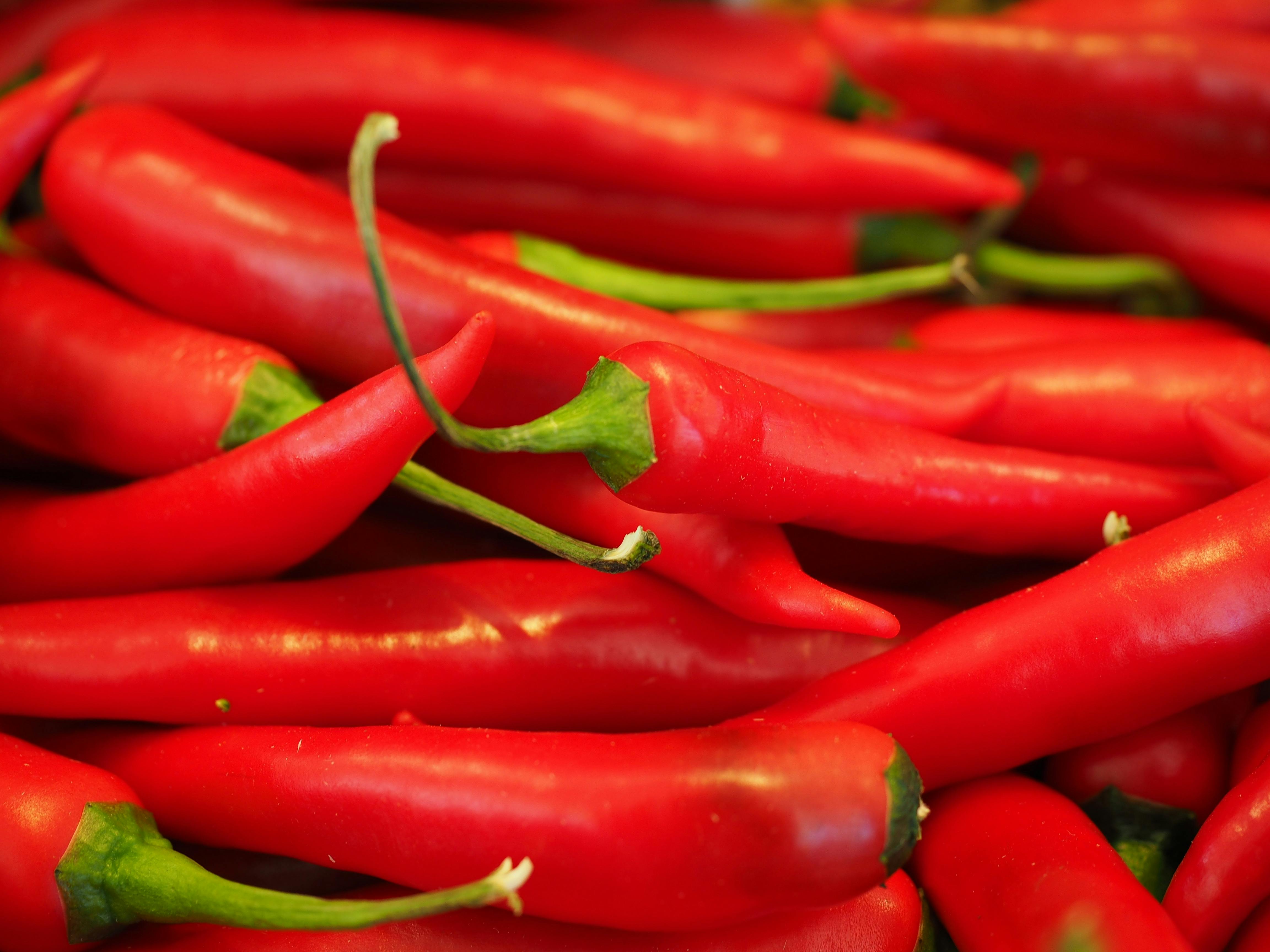 Free stock photos of chili · Pexels