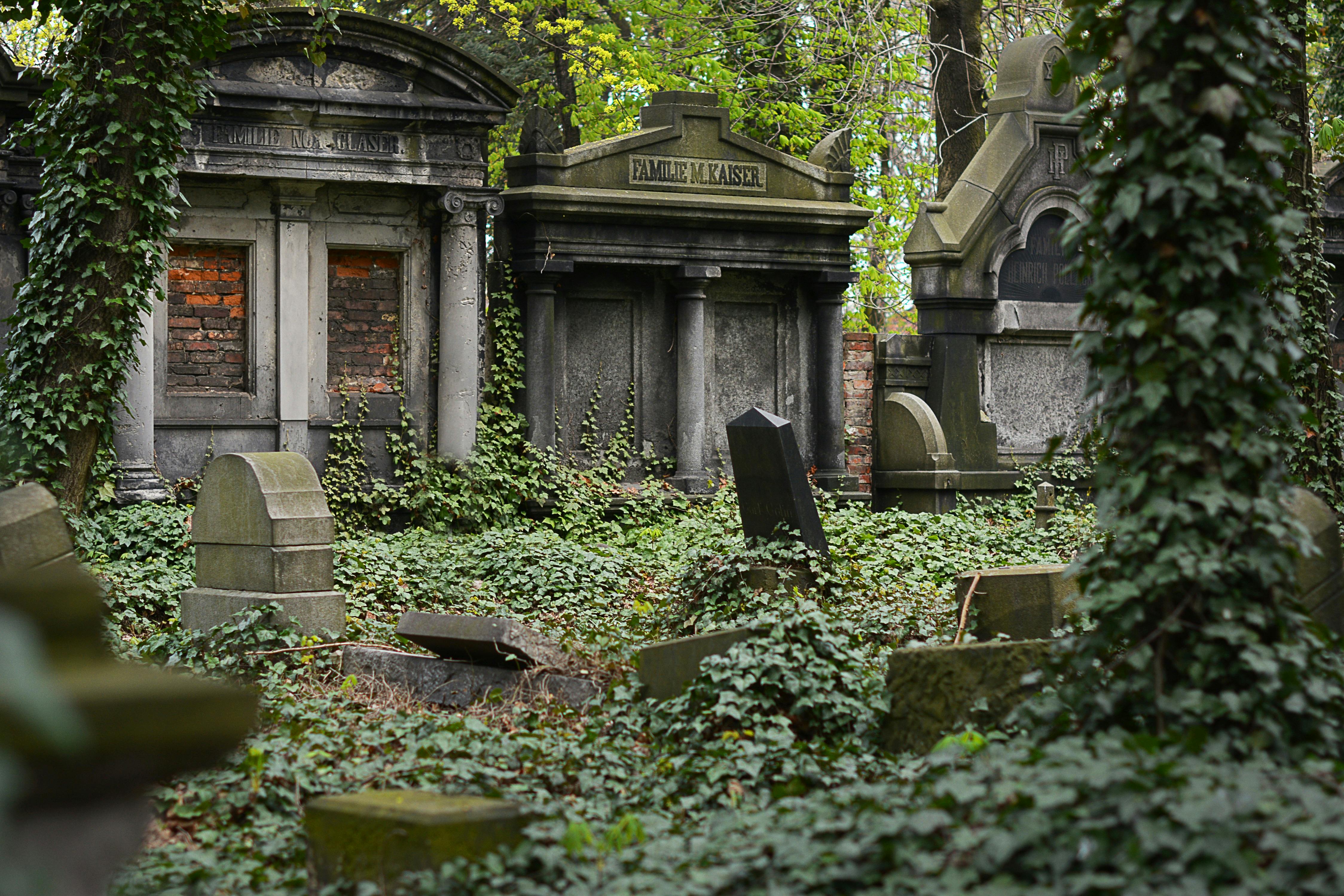 Free stock photos of graveyard · Pexels