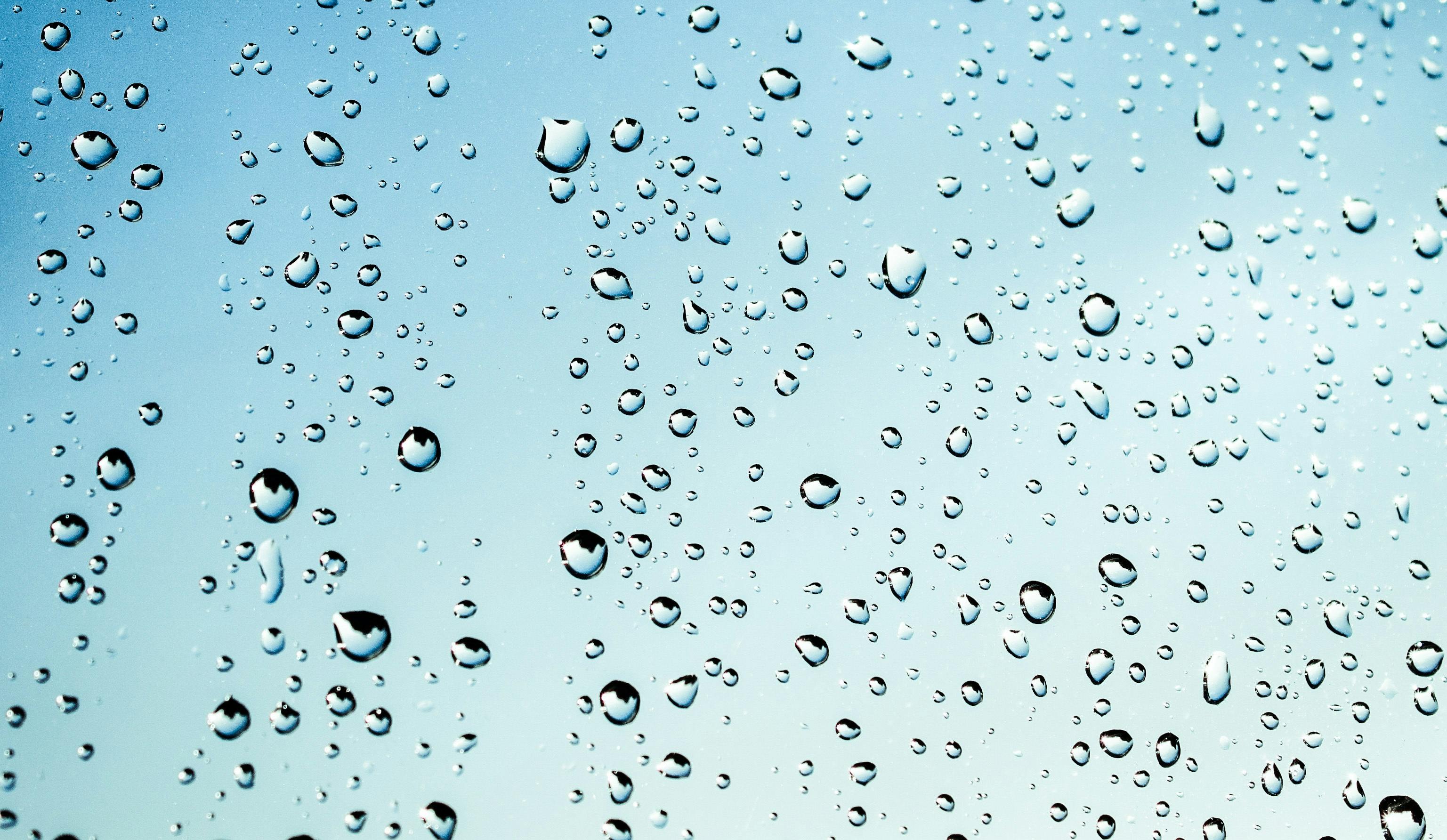 Free stock photos of raindrops · Pexels