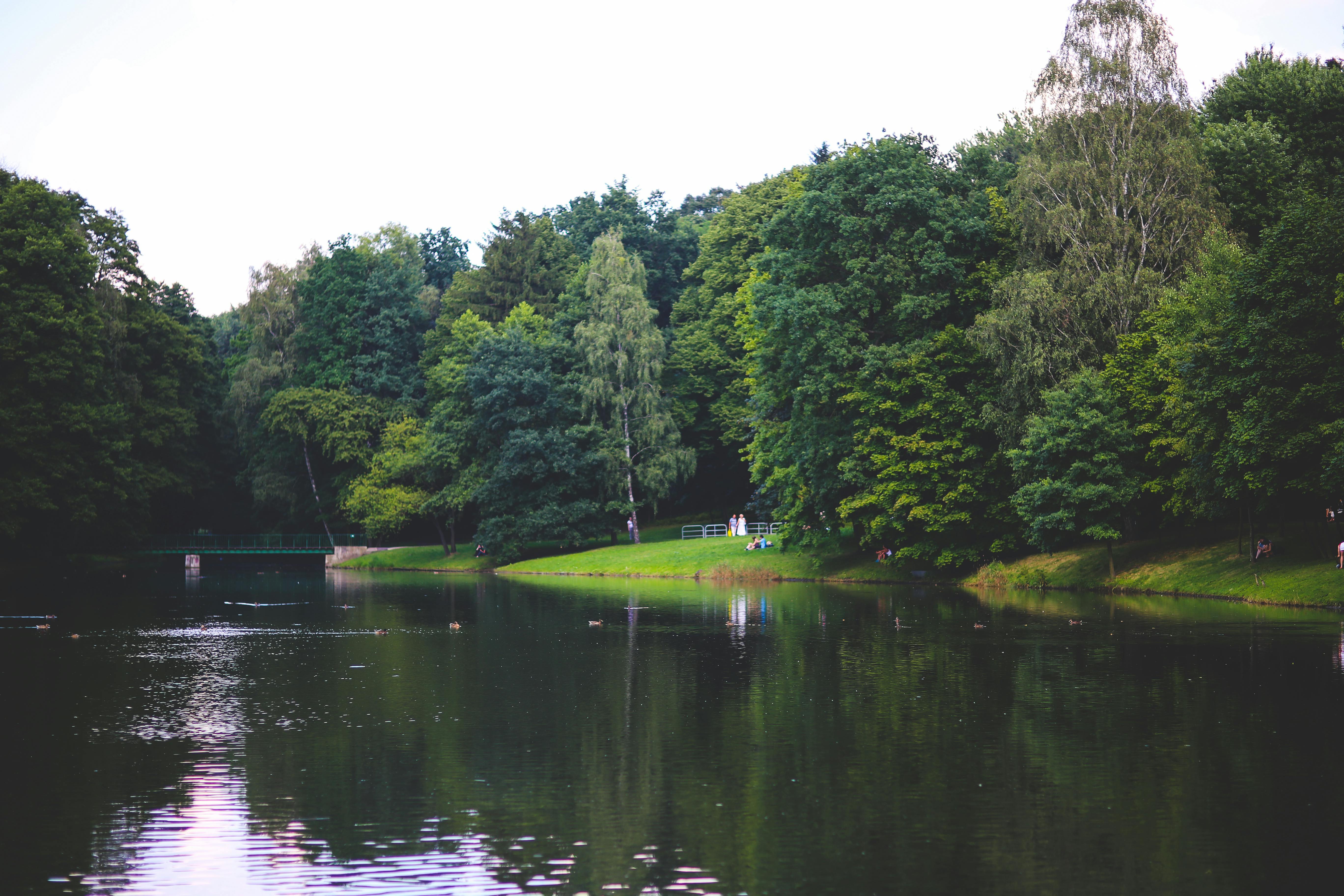 Free stock photos of waterside · Pexels