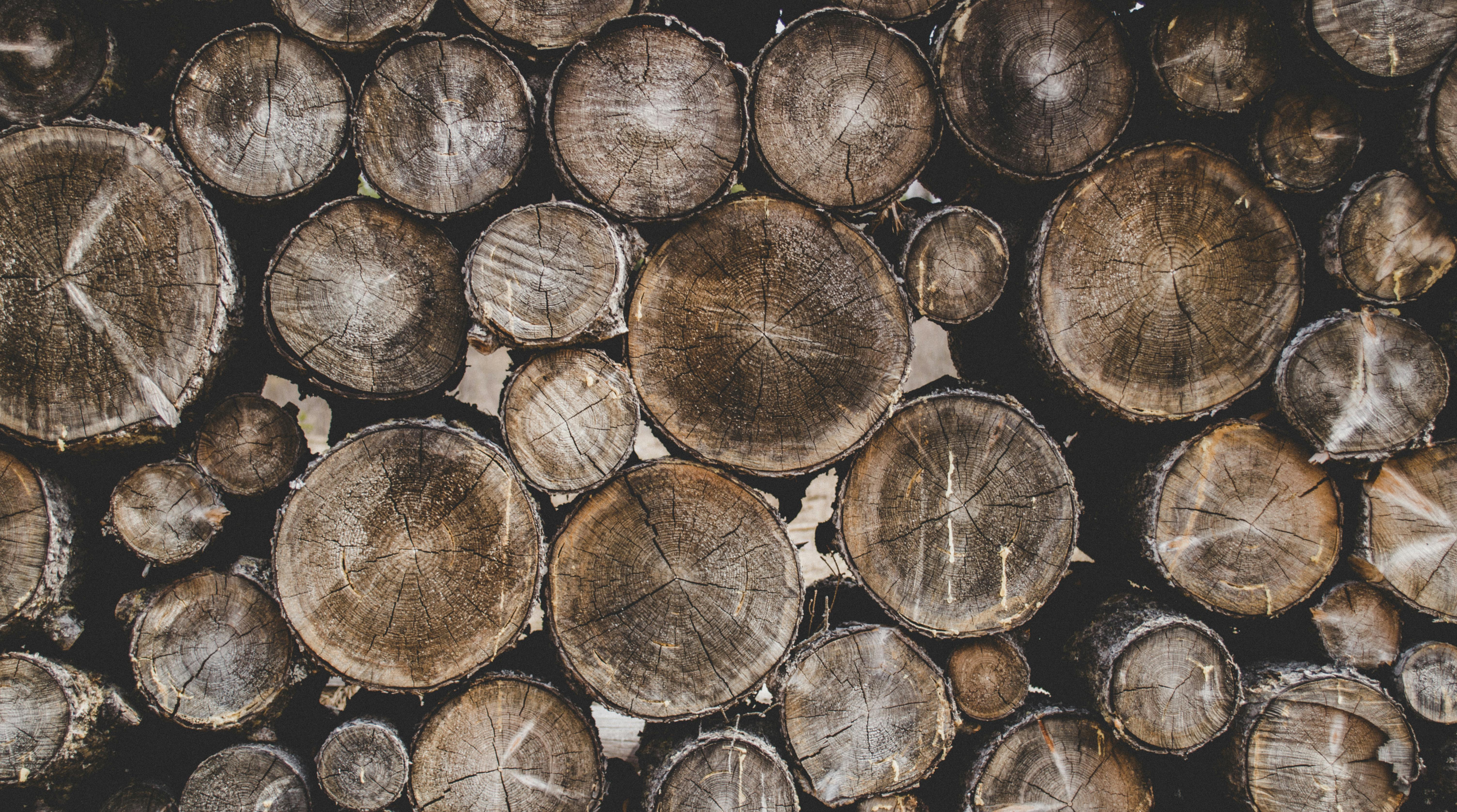 Free stock photos of logs · Pexels