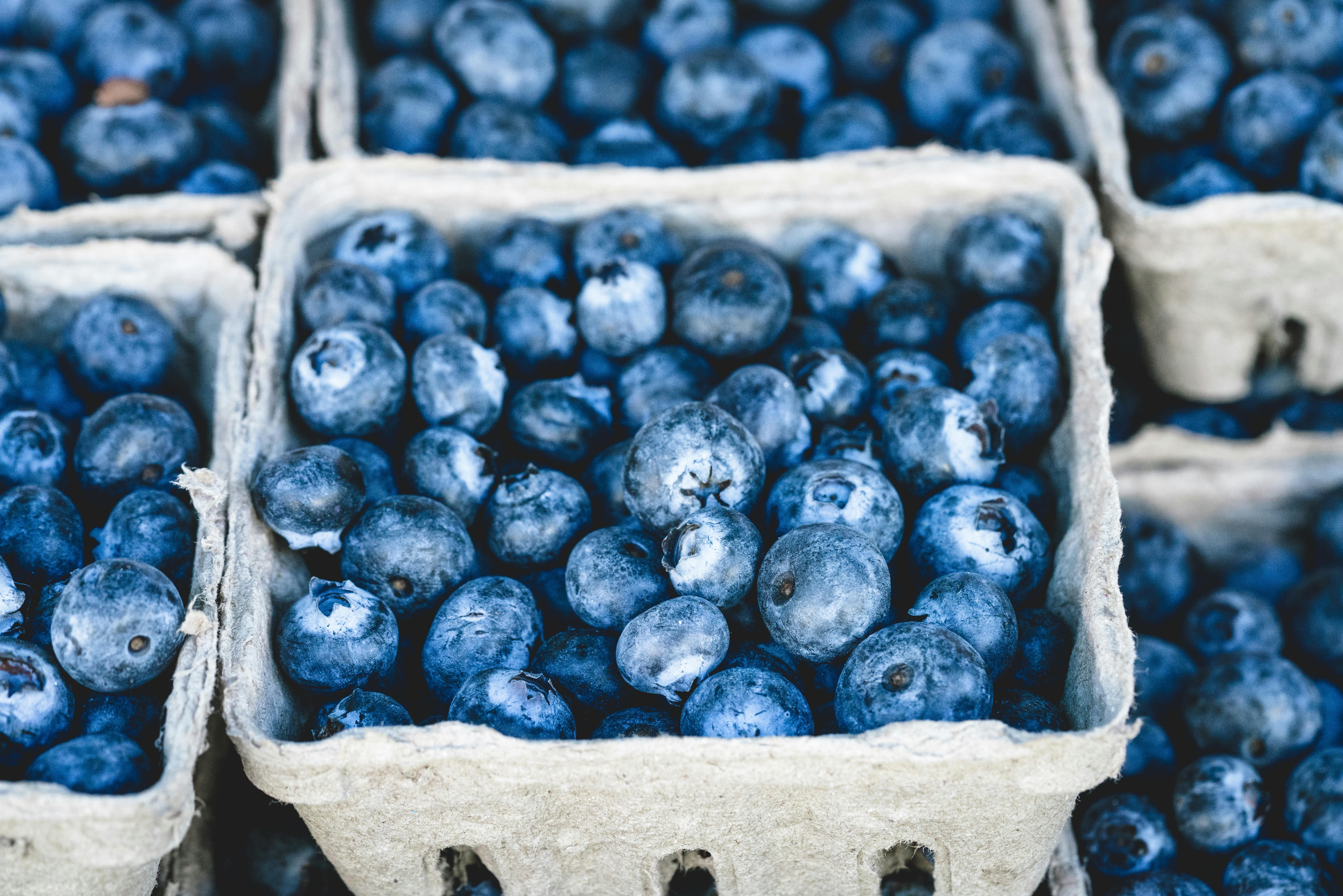 Free stock photos of blueberries · Pexels