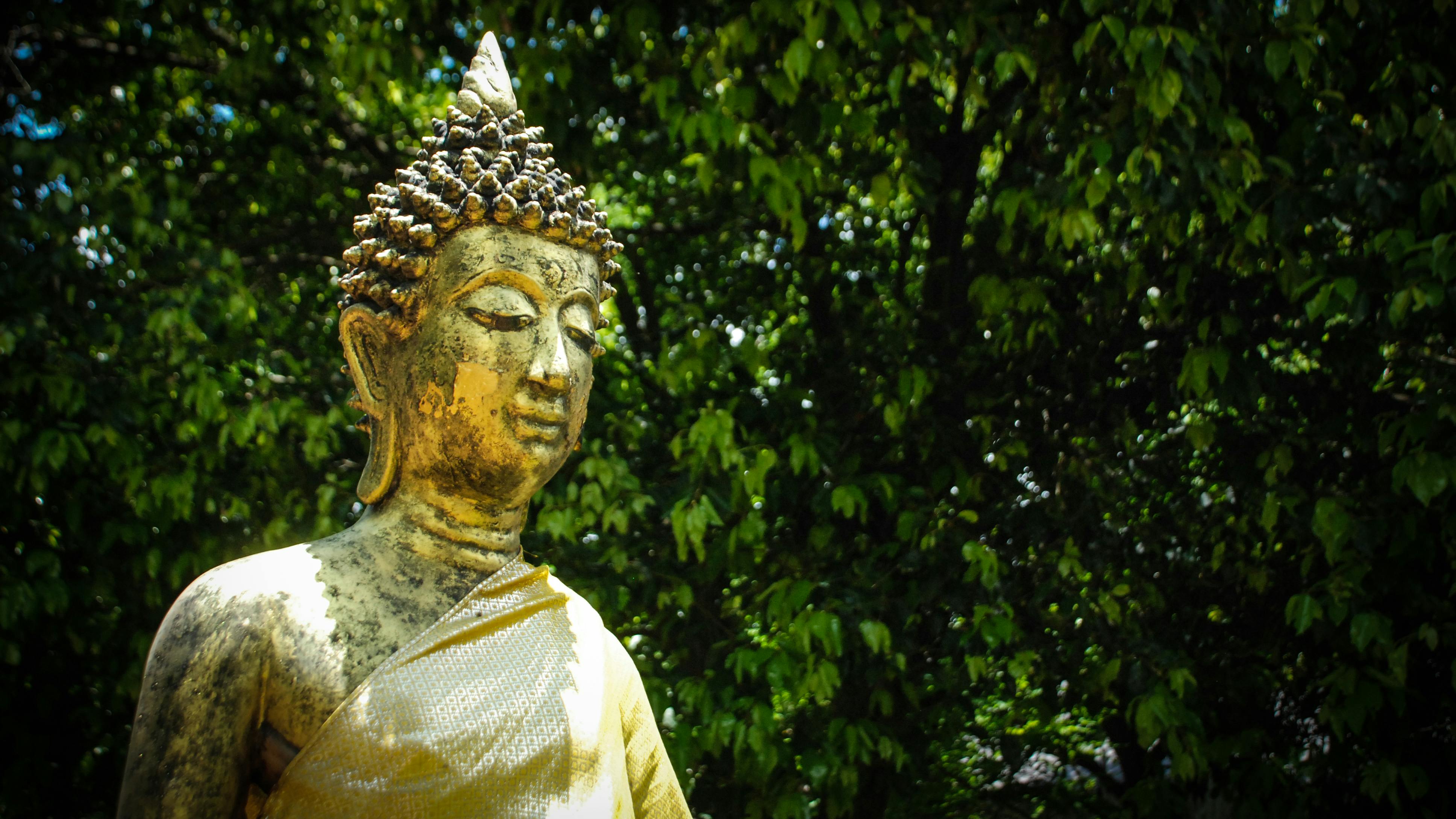 emil lin · Photography