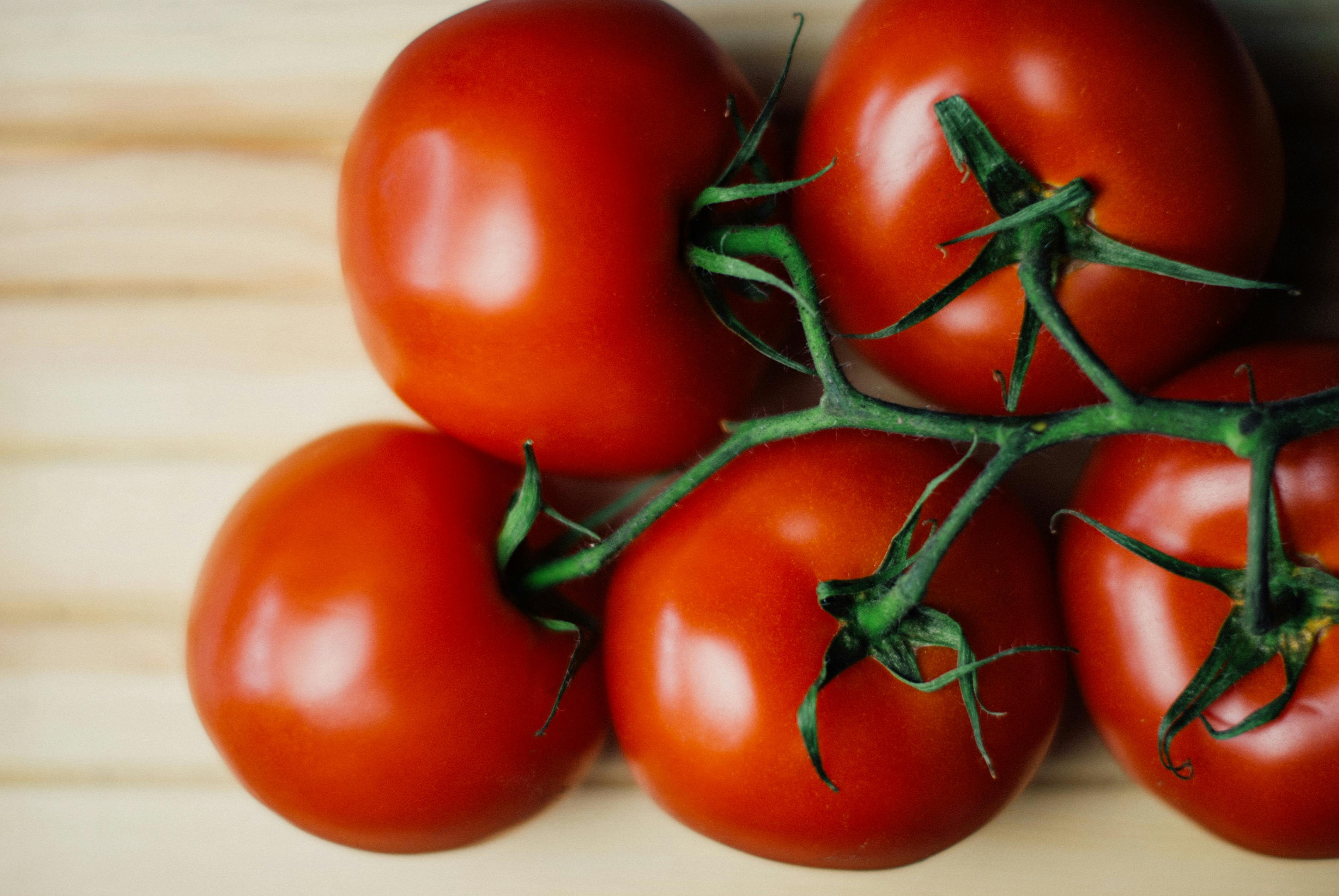 Free stock photos of tomatoes · Pexels