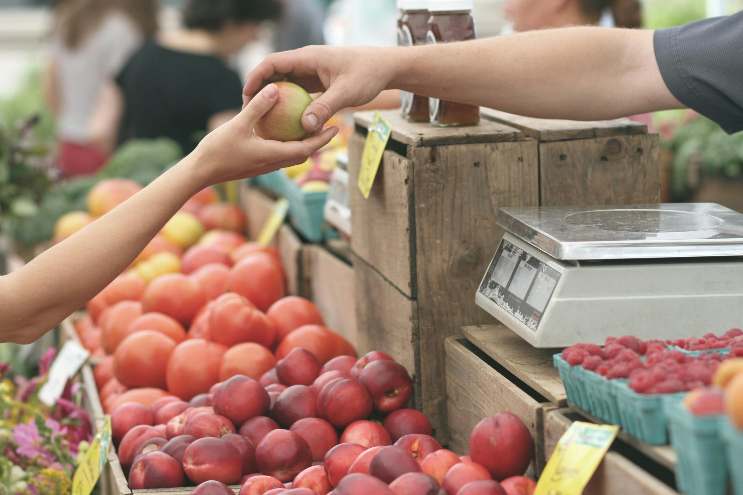 Free stock photos of farmers market · Pexels