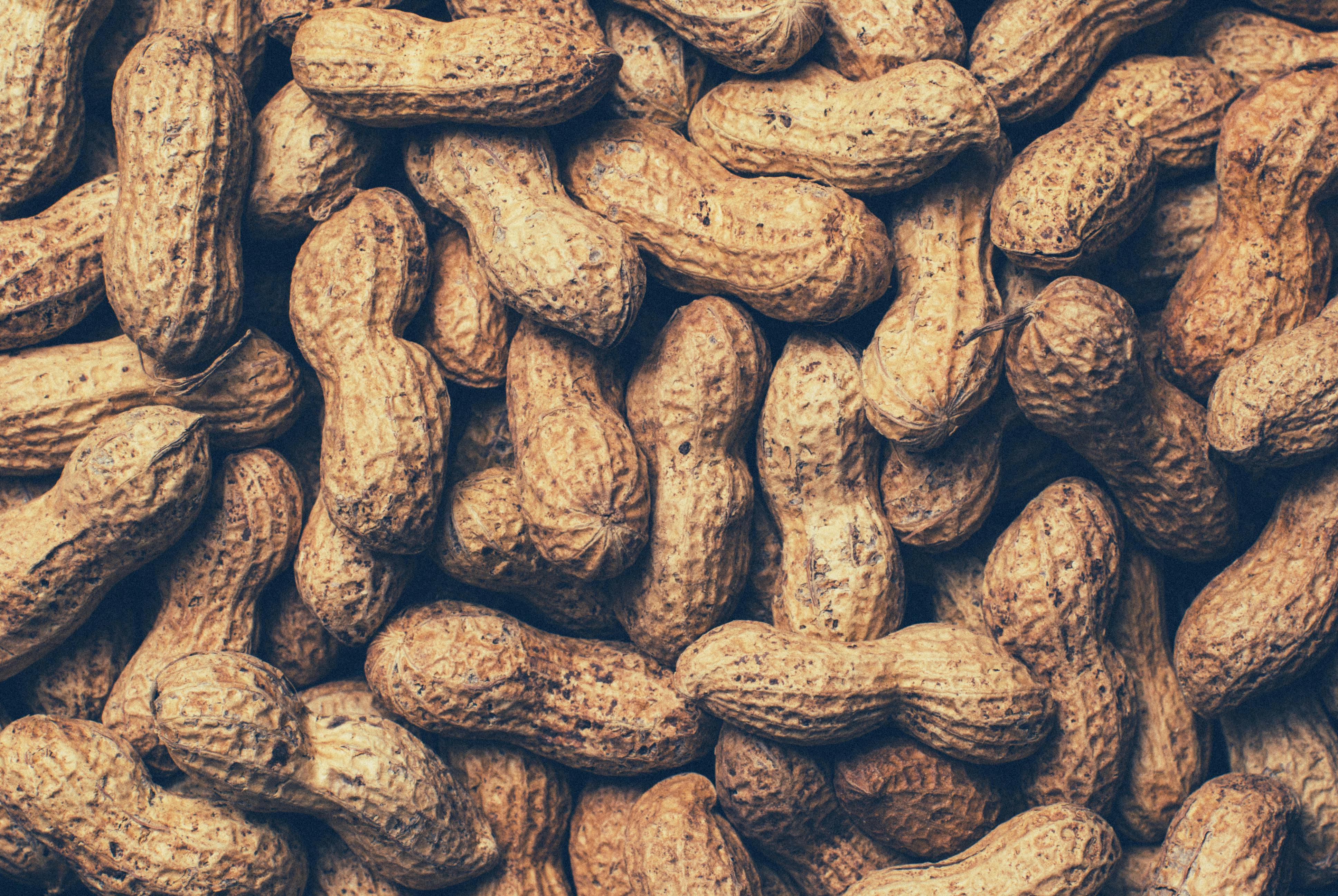 Free stock photos of peanuts · Pexels